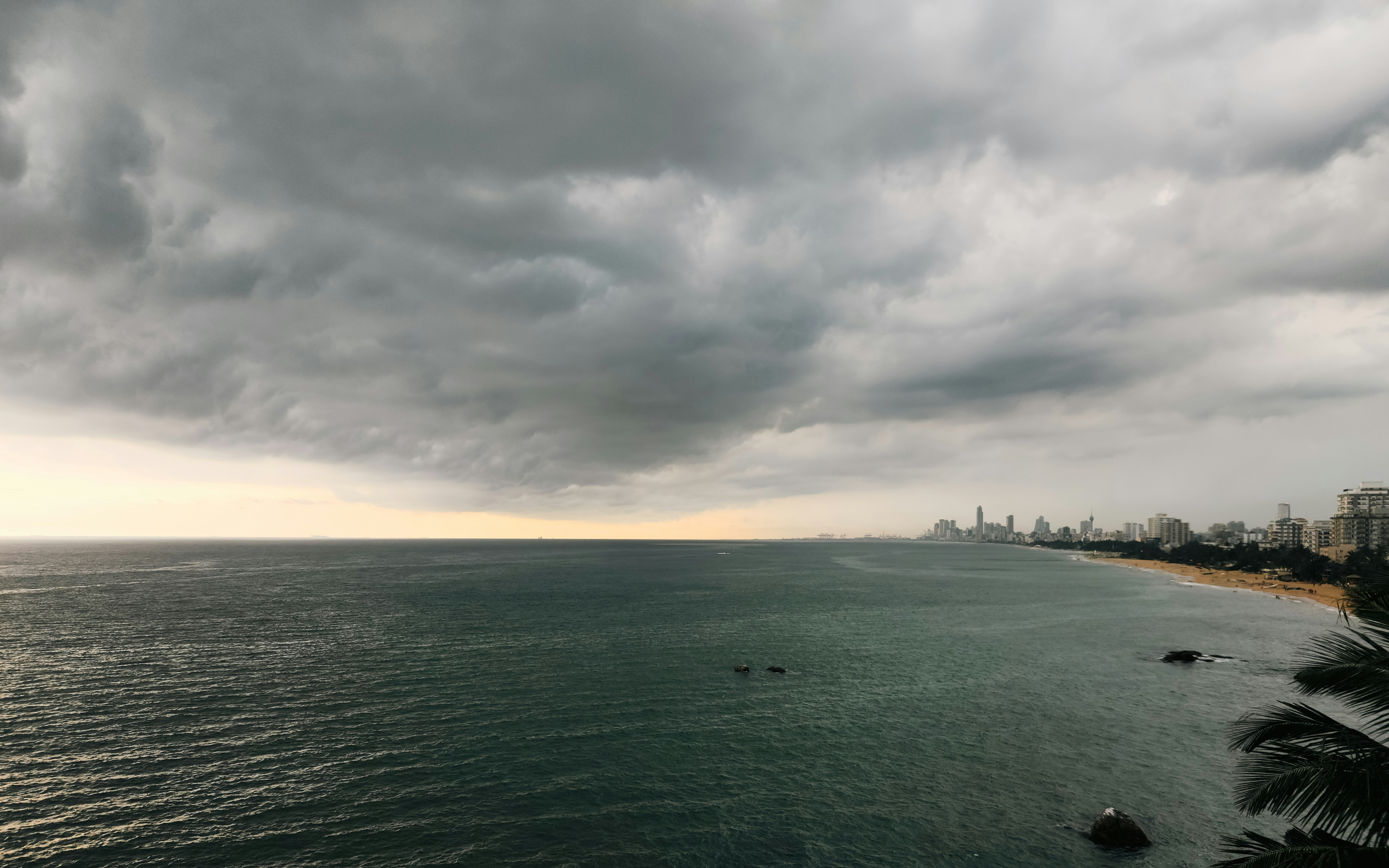 Storm Front over the Coast: Distant Skyline Framed by a Palm