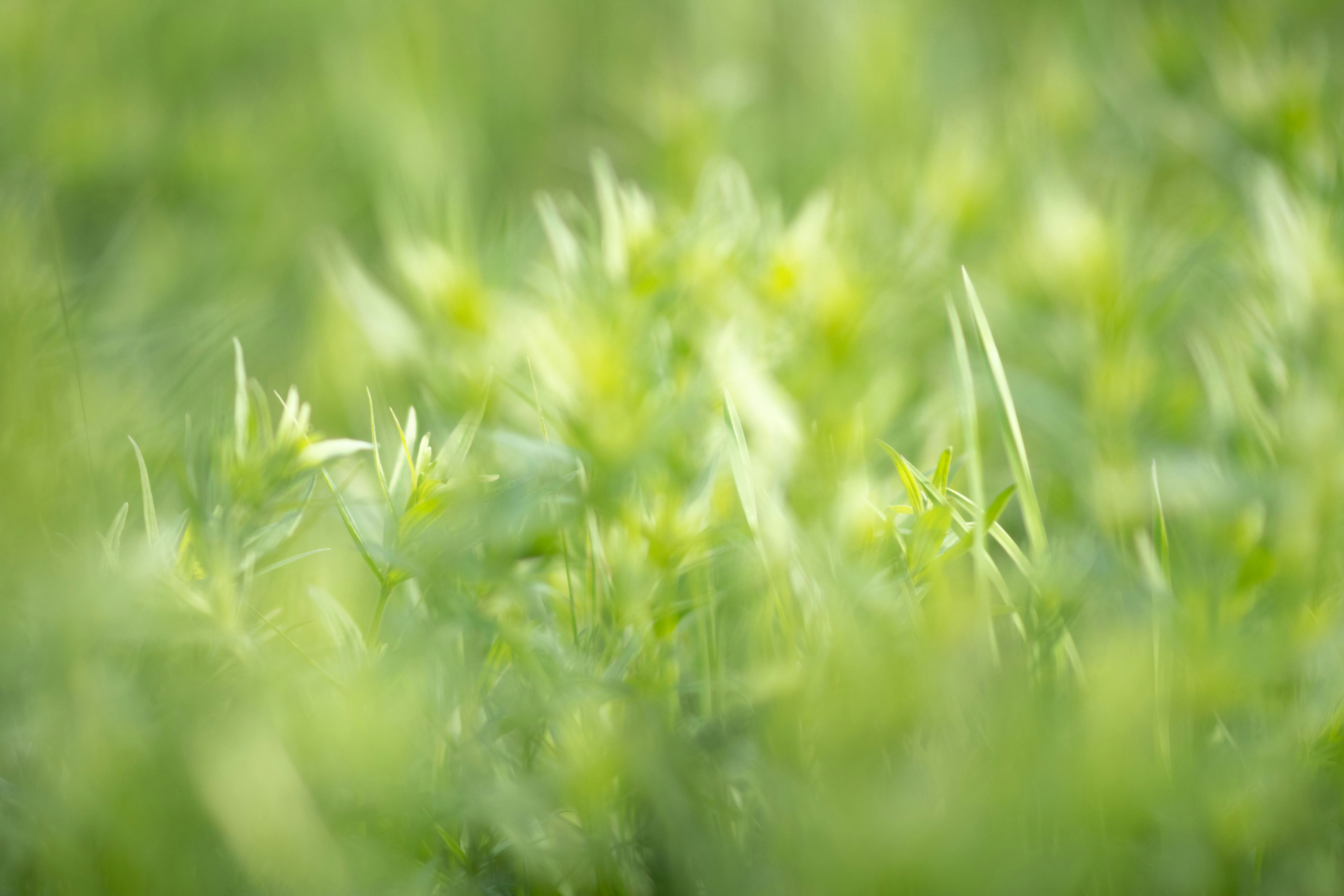Seven Colors (@sevencolors) | Unsplash 사진 커뮤니티