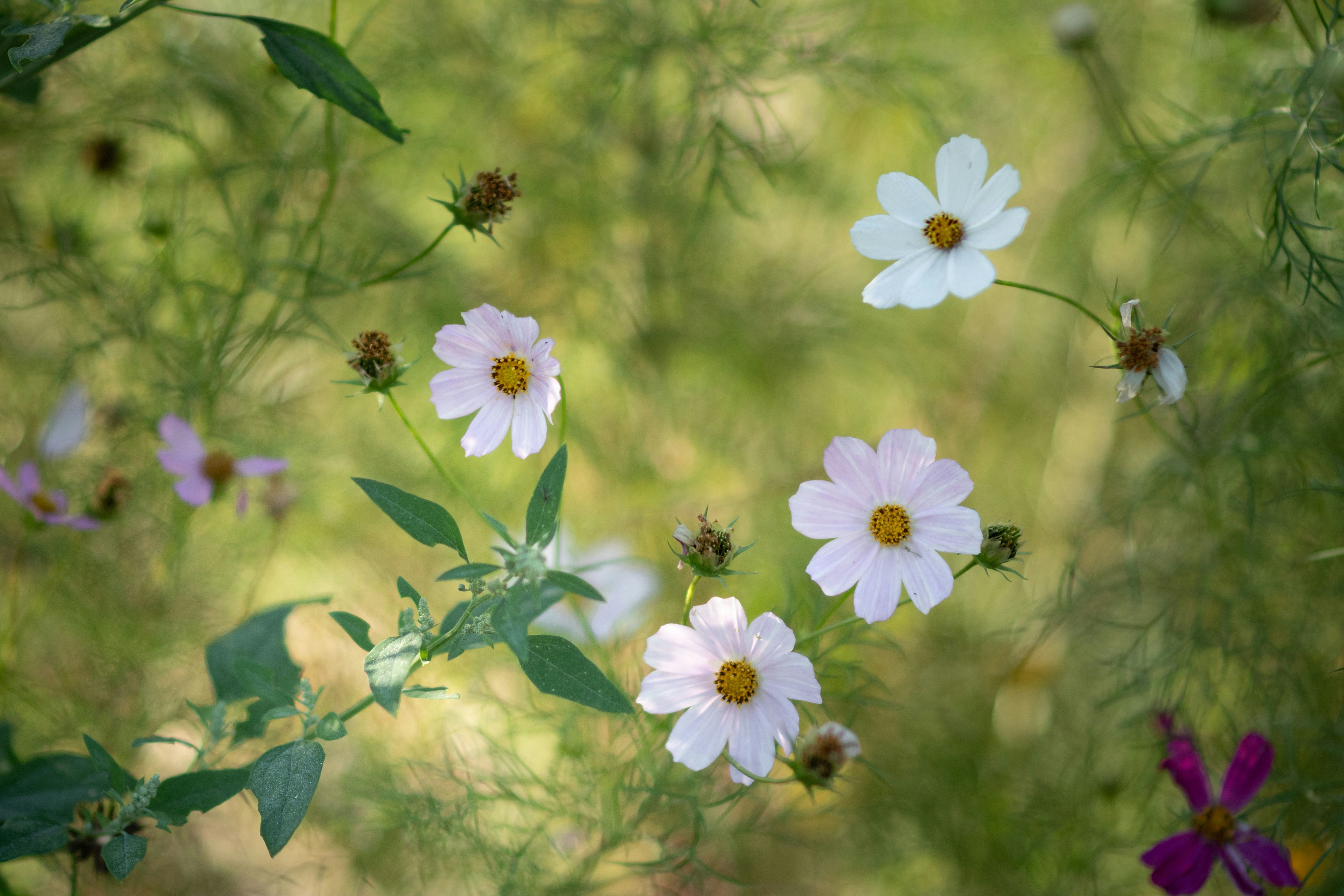 Seven Colors (@sevencolors) | Unsplashフォトコミュニティ