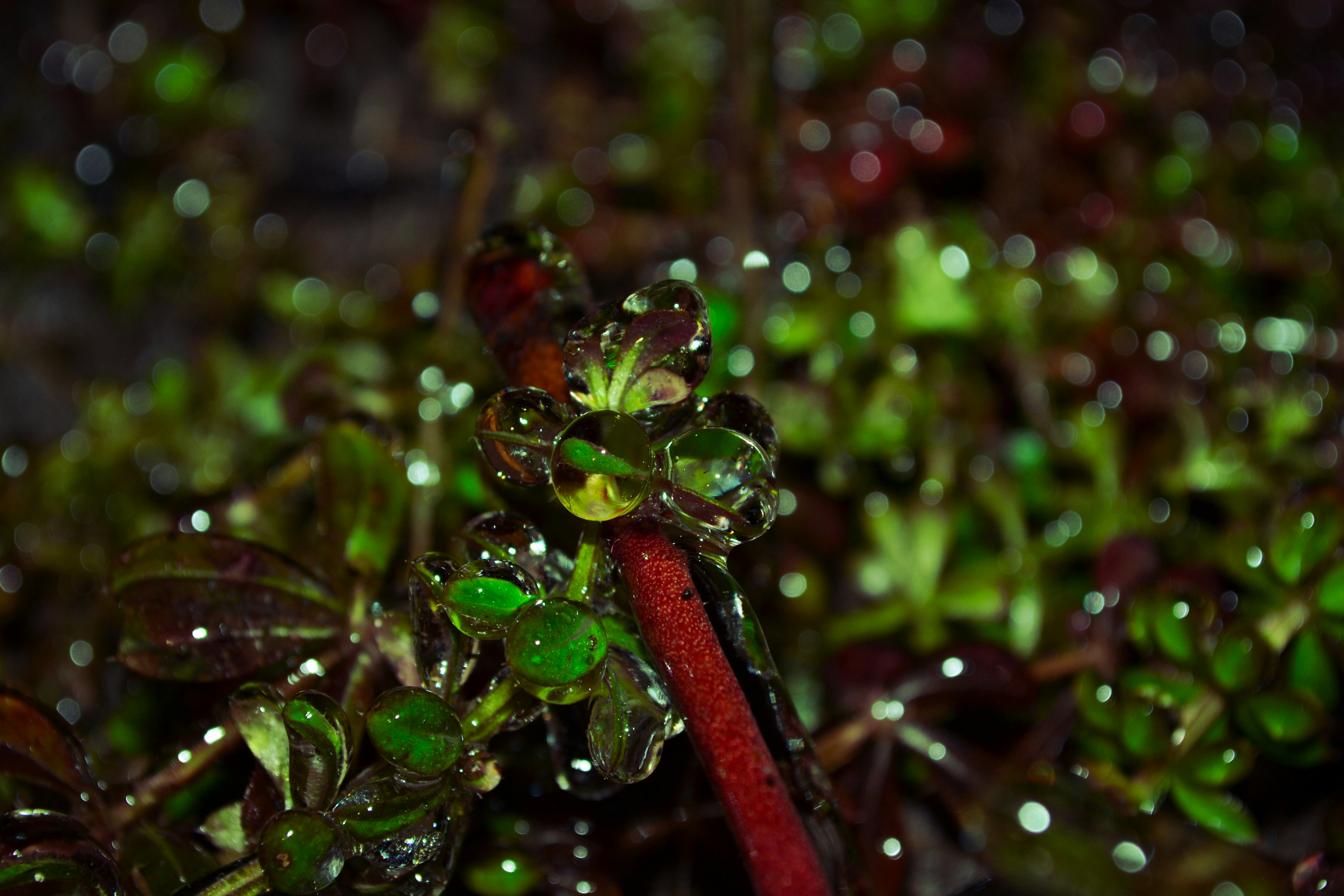 Photo by Danil Shvaika with Nikon D3100