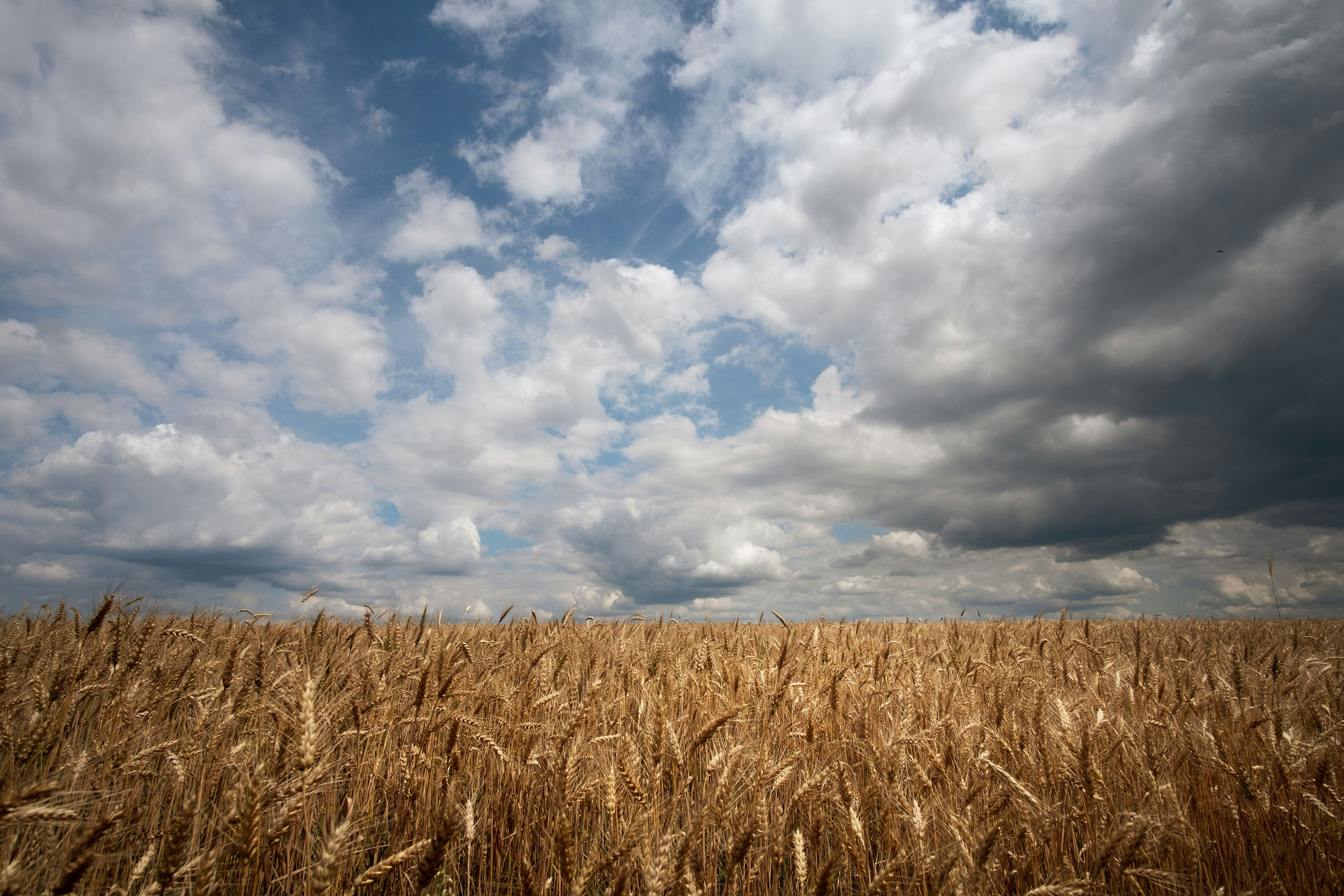 Seven Colors (@sevencolors) | Unsplash 사진 커뮤니티