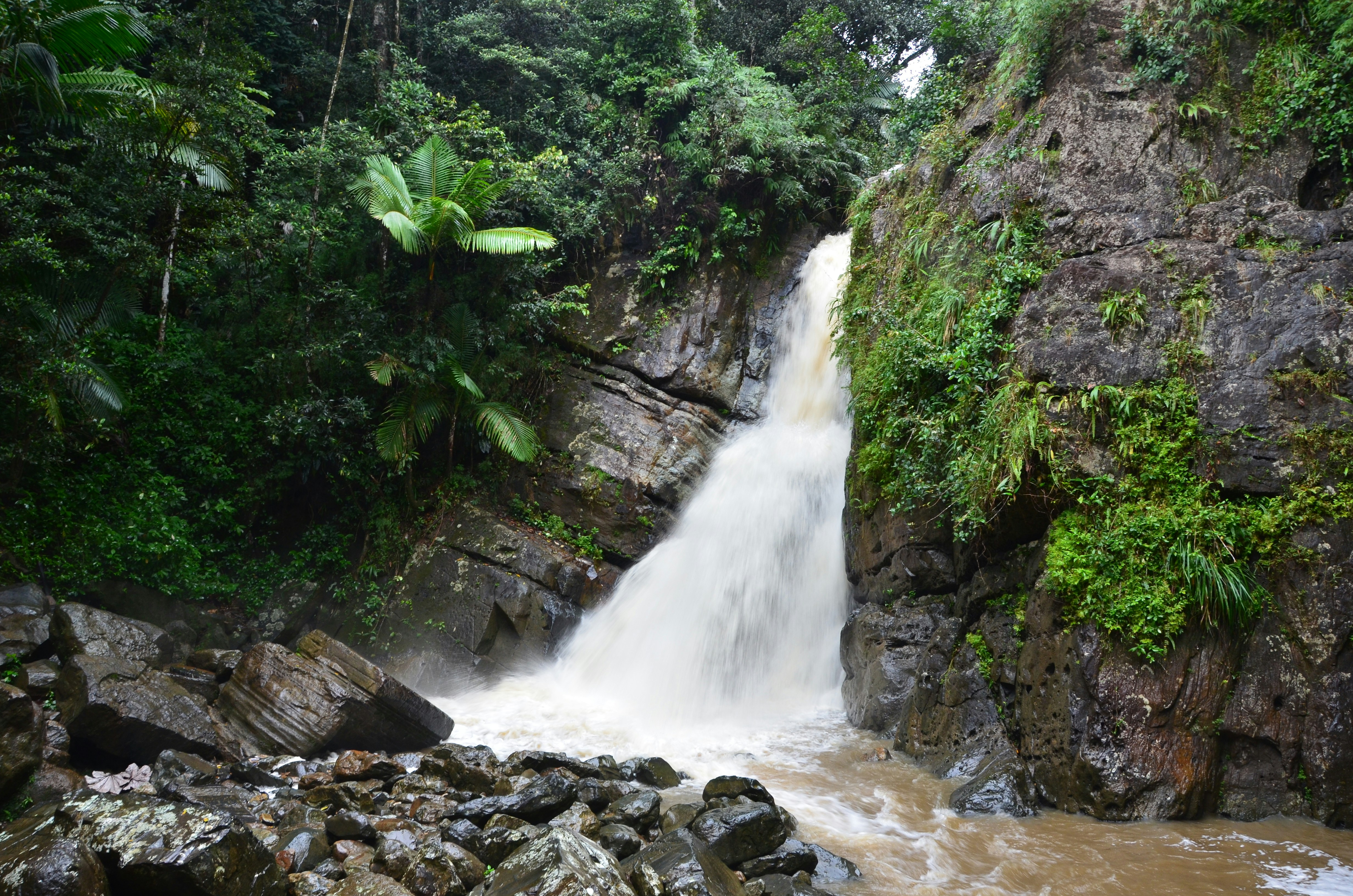 A waterfall cascades through a lush, rocky gorge. photo – Free ...