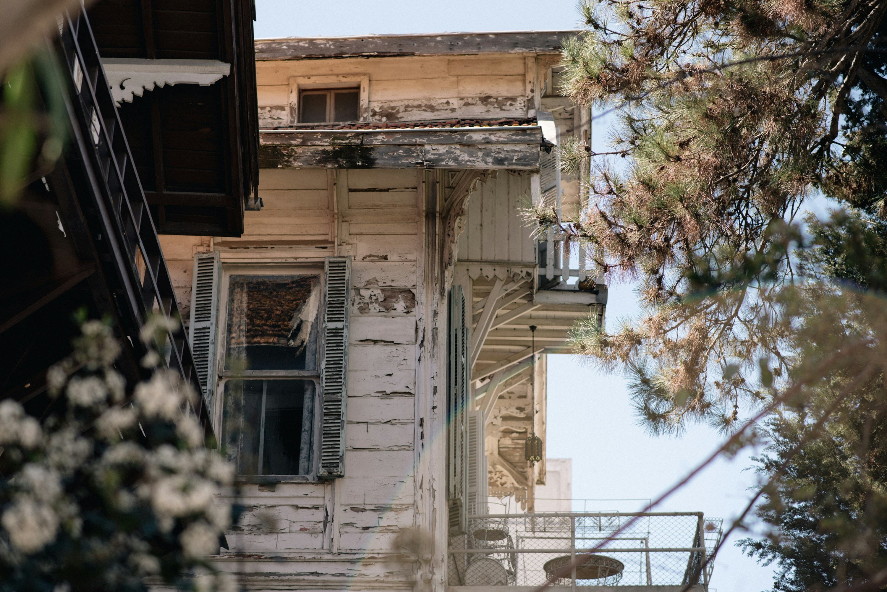 Old, weathered building peeks from behind foliage. photo – Free Travel ...