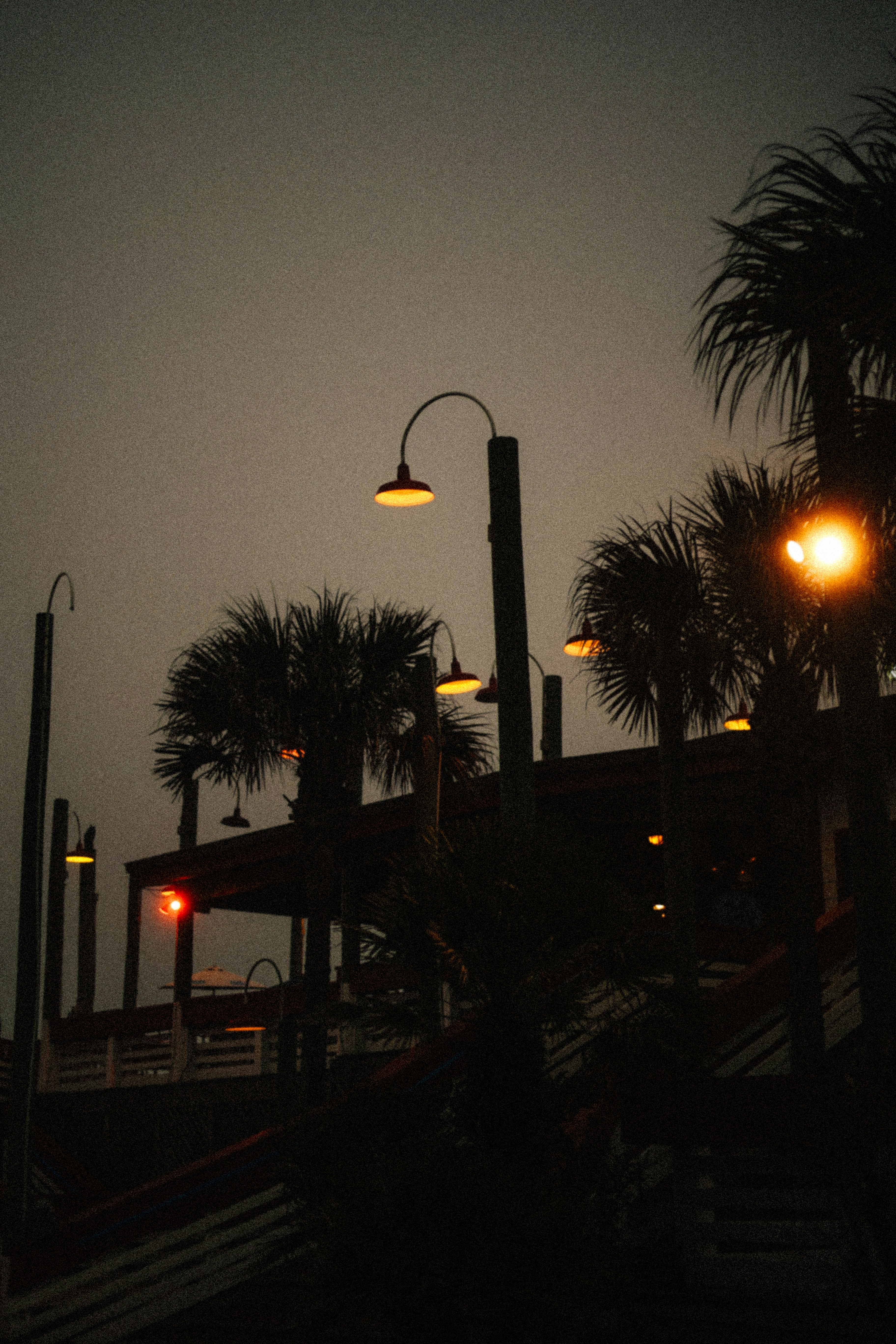 Amber Lamps, Silhouetted Palms: Night on a Palm-Lined Pier