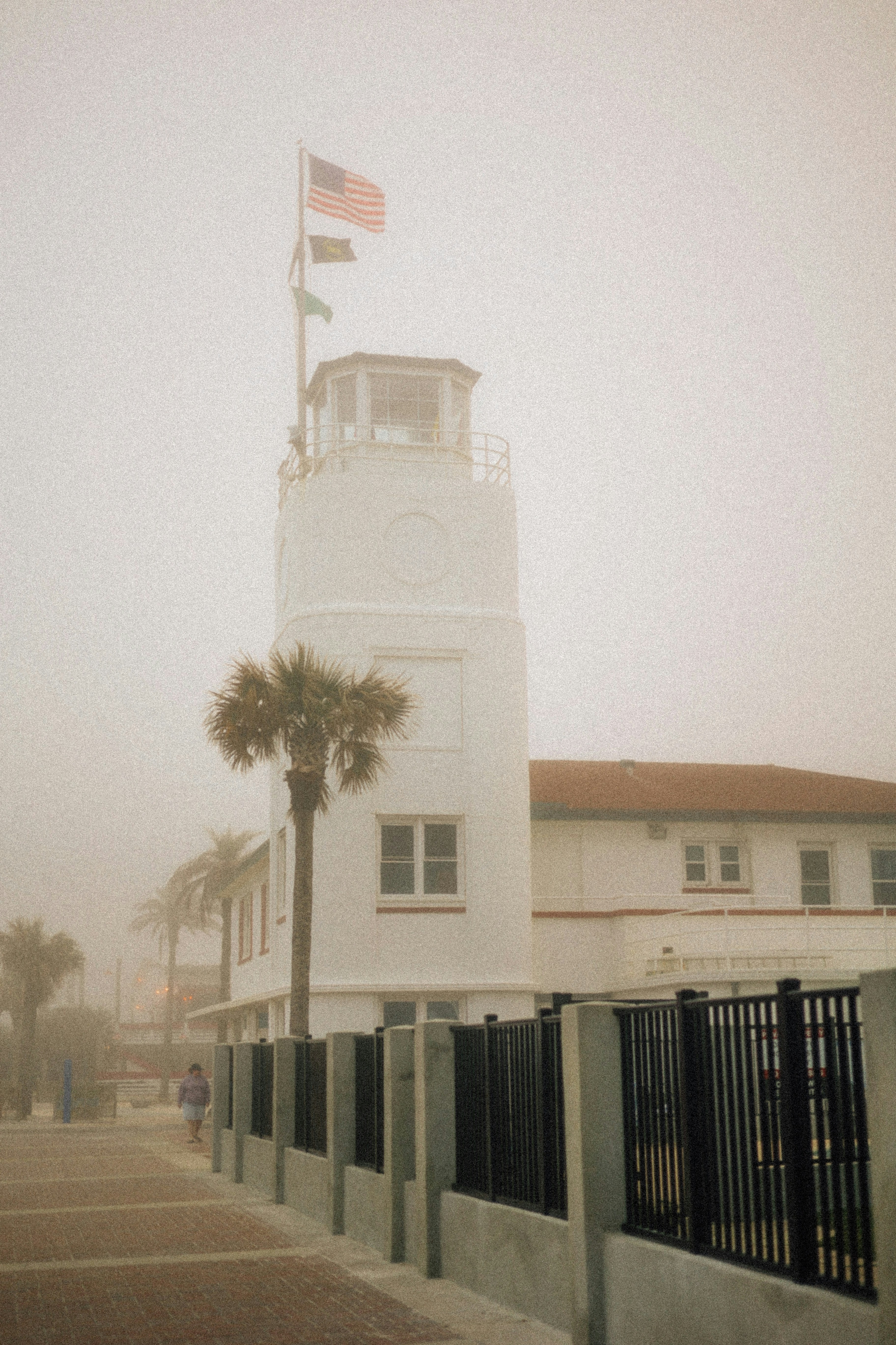 Beacon in the Mist: A Palm-Lined Lighthouse Emerges Through Fog