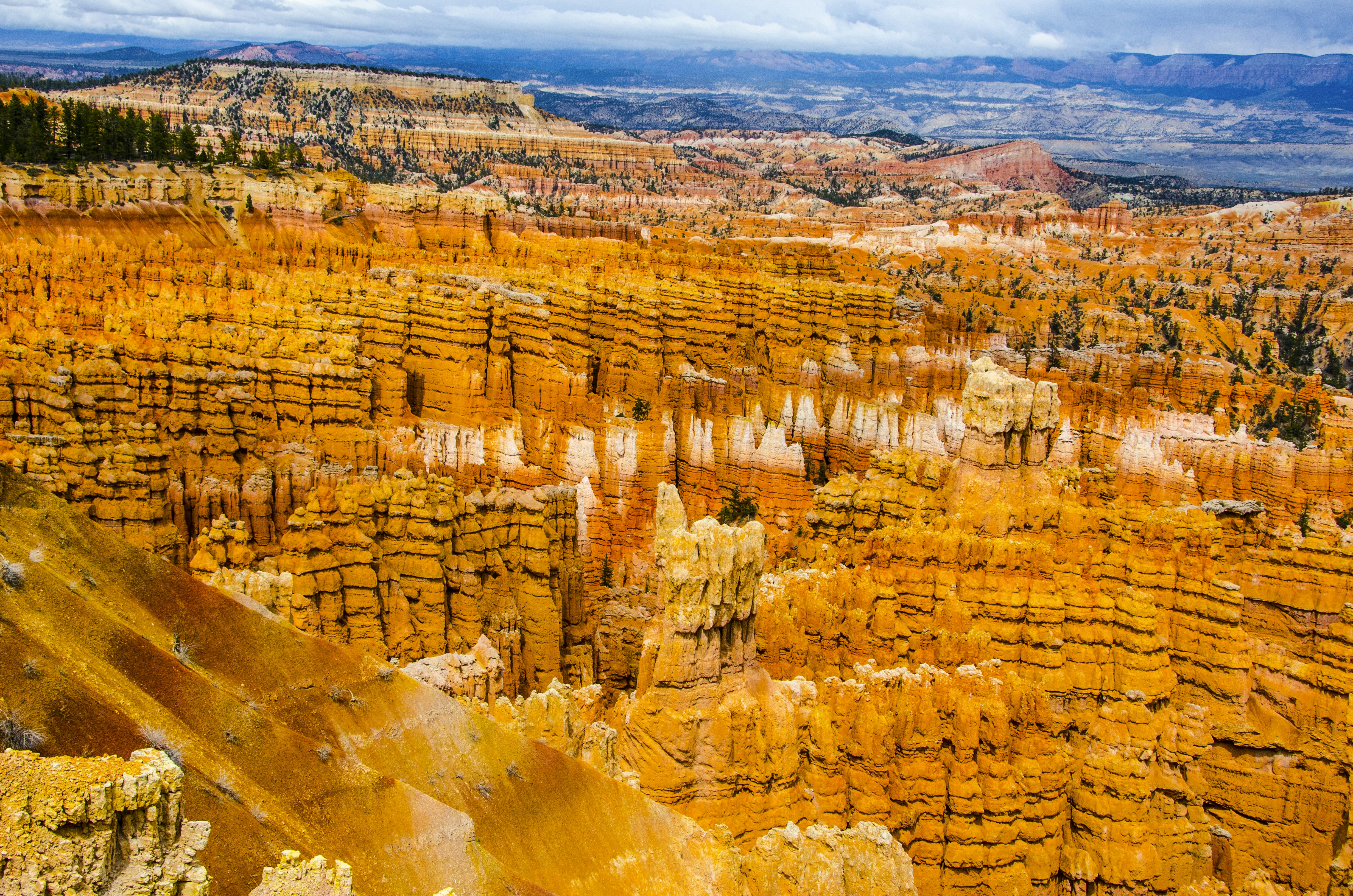 Hoodoo Choir in the Painted Desert: Golden Spires Reaching the Blue Horizon