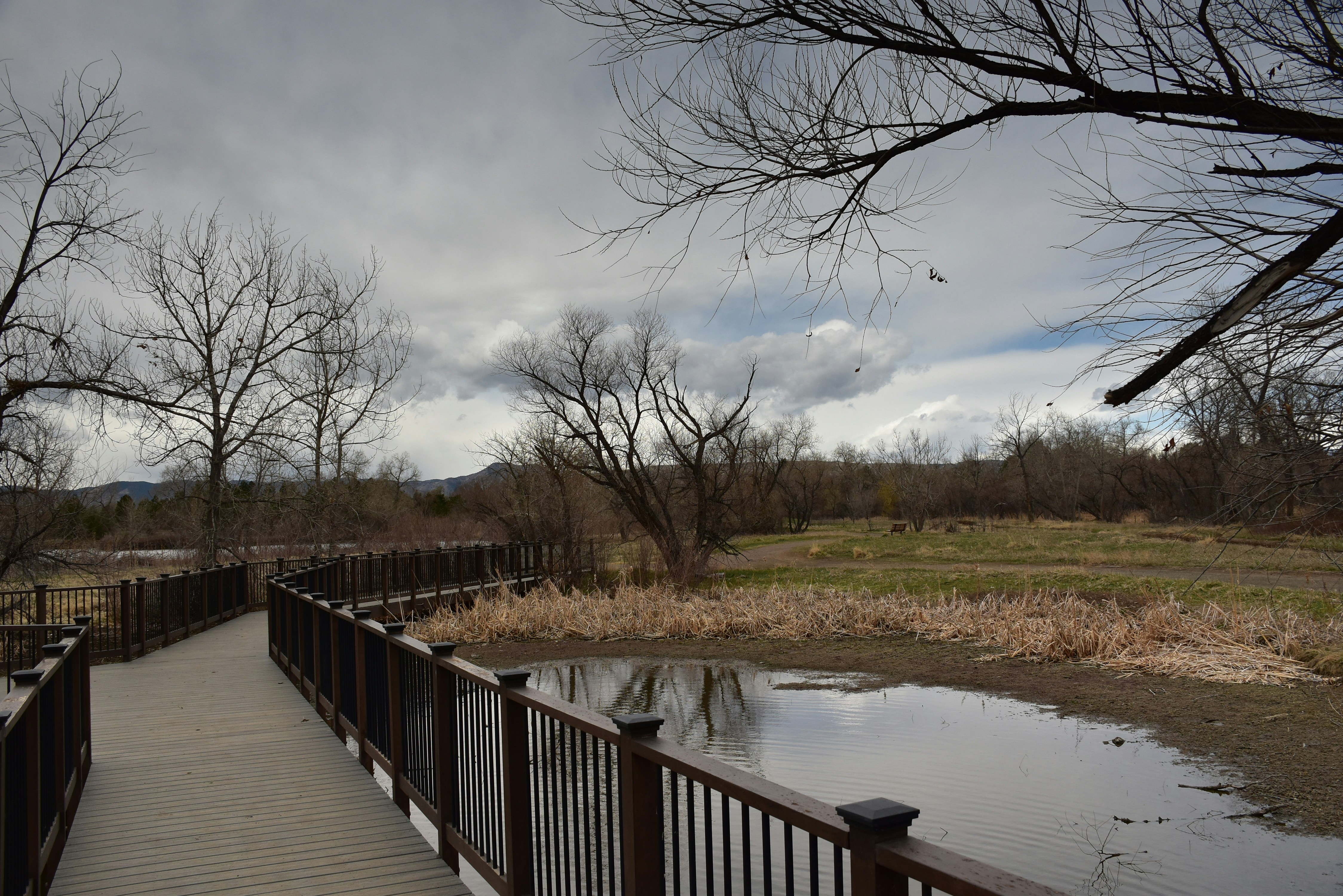 Wooden boardwalk winding through a tranquil wetland landscape beneath a cloudy sky.