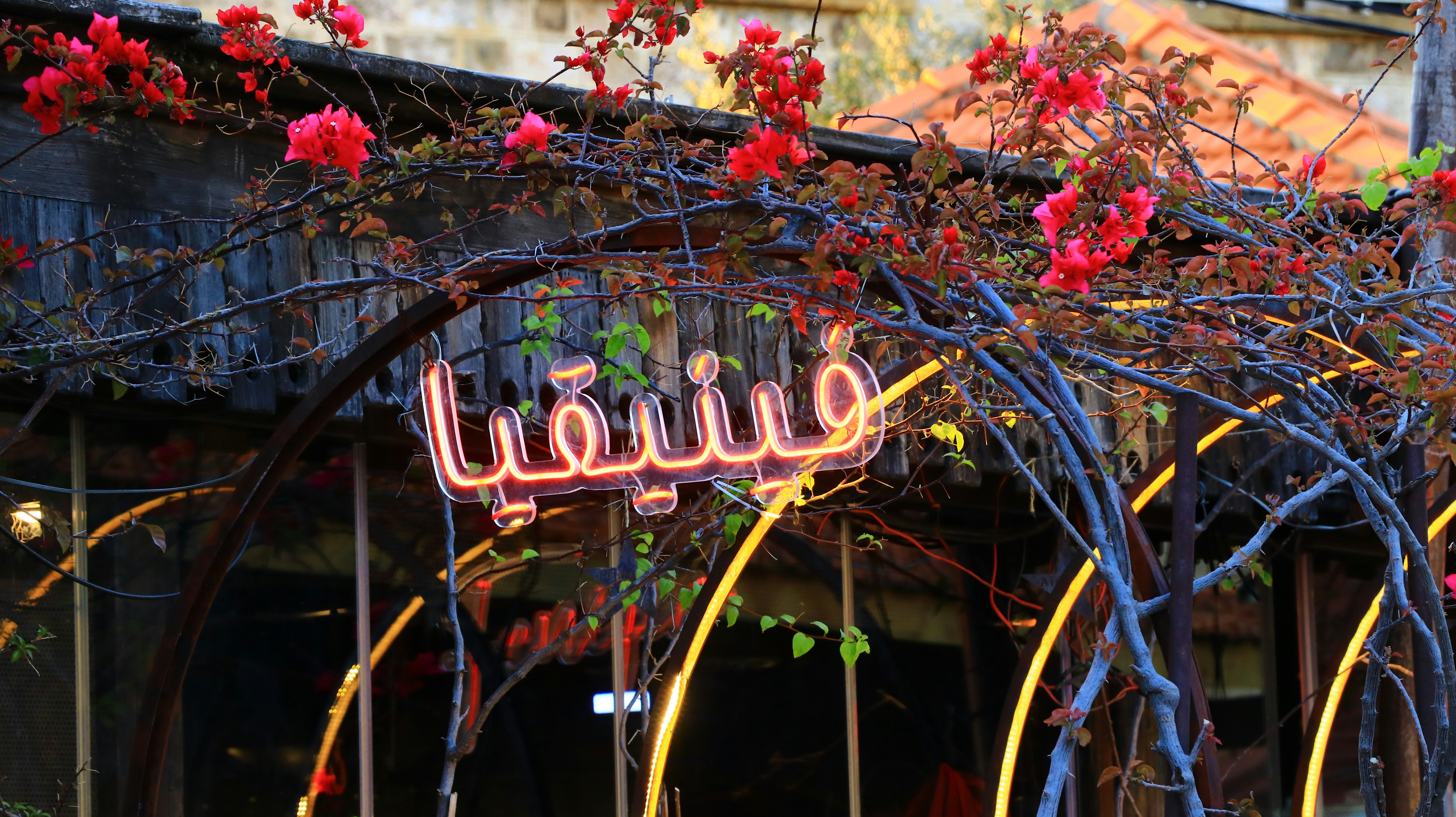 Neon Flowered Archway Beneath a Neon Sign