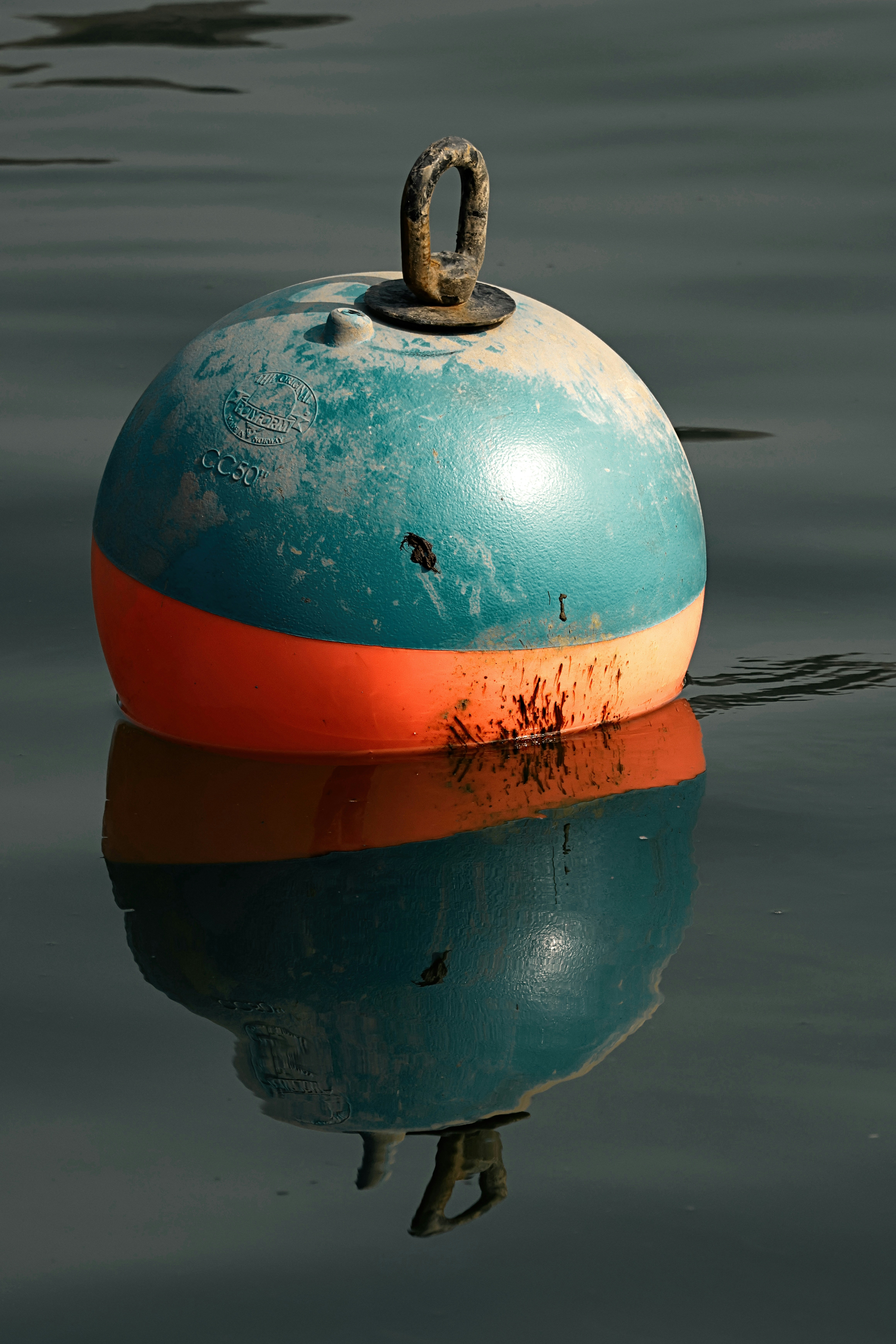 A colorful buoy floats peacefully on water. photo – Free Animal Image ...