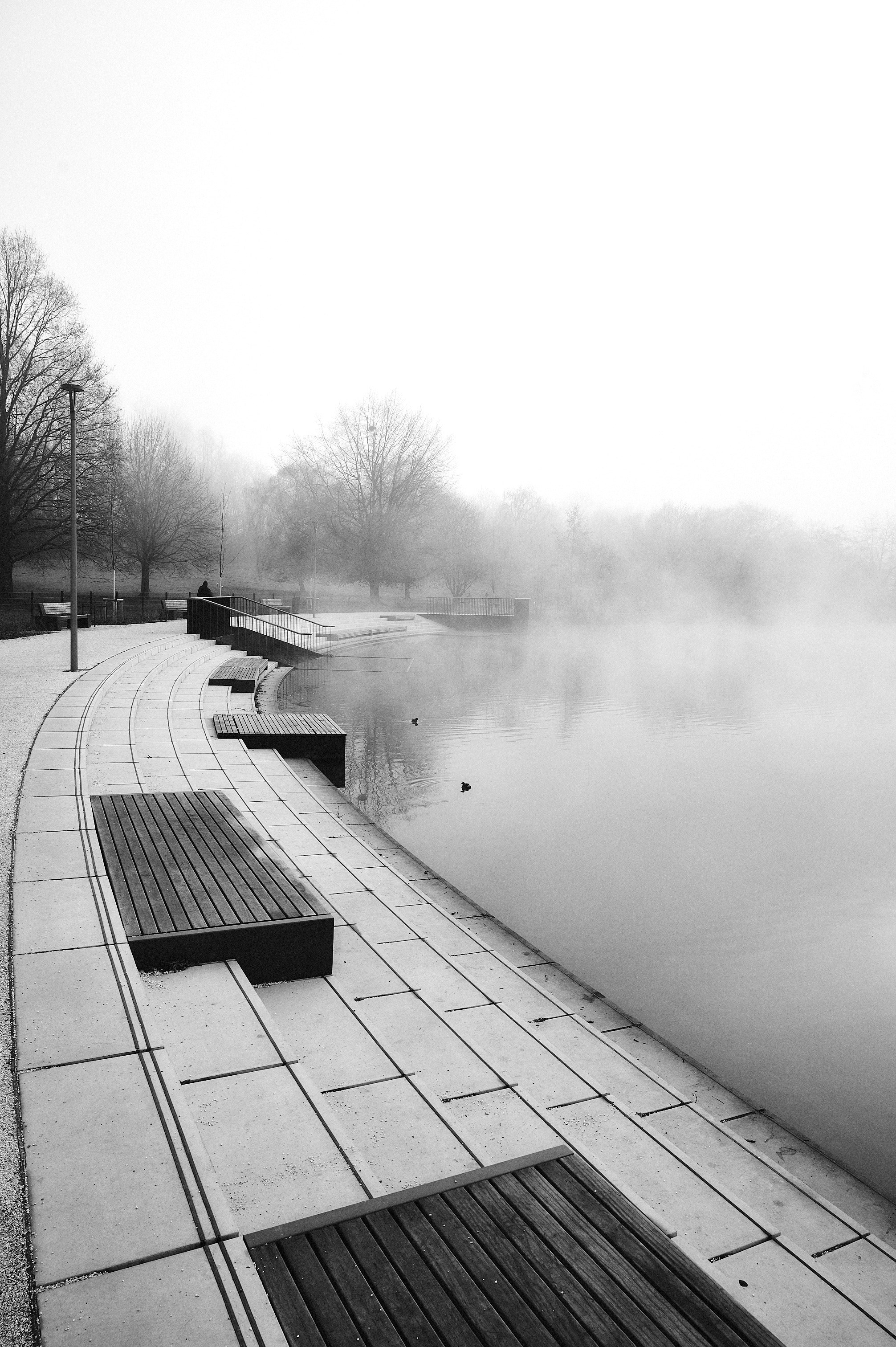 Serenity Along the Foggy Lakeside Path