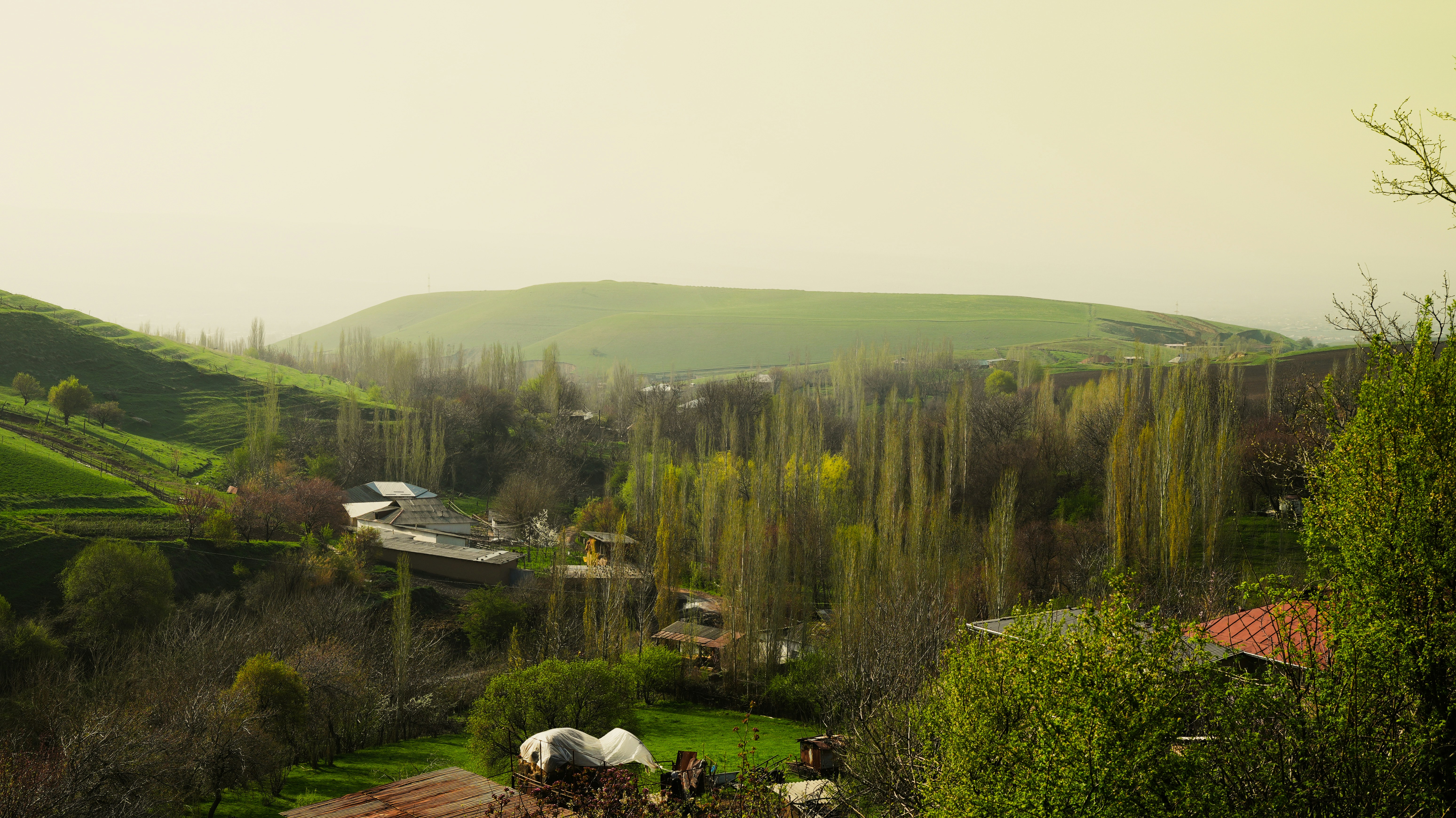 Rolling Hills of Verdant Serenity