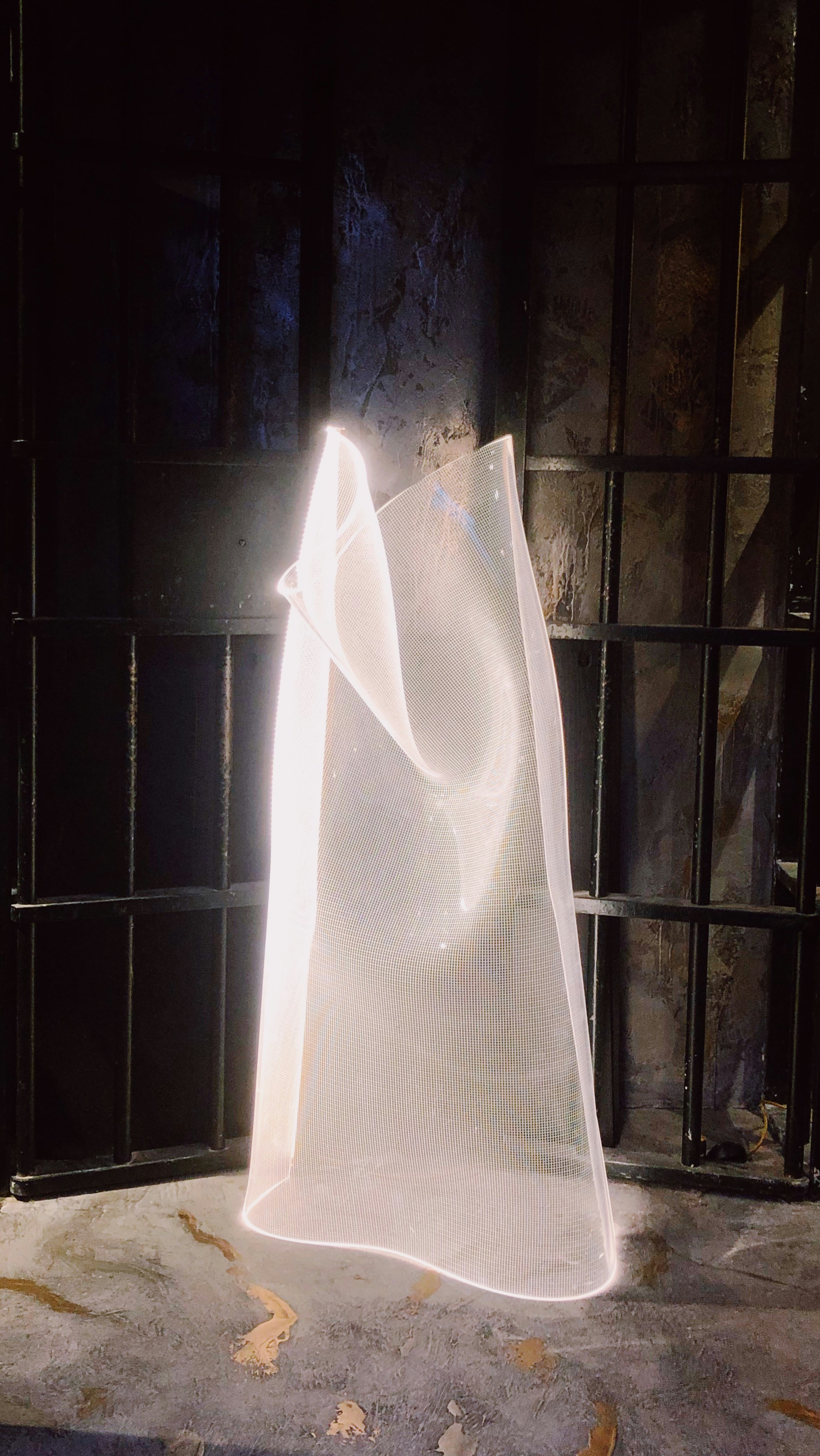 Veil of Light Between Iron Bars