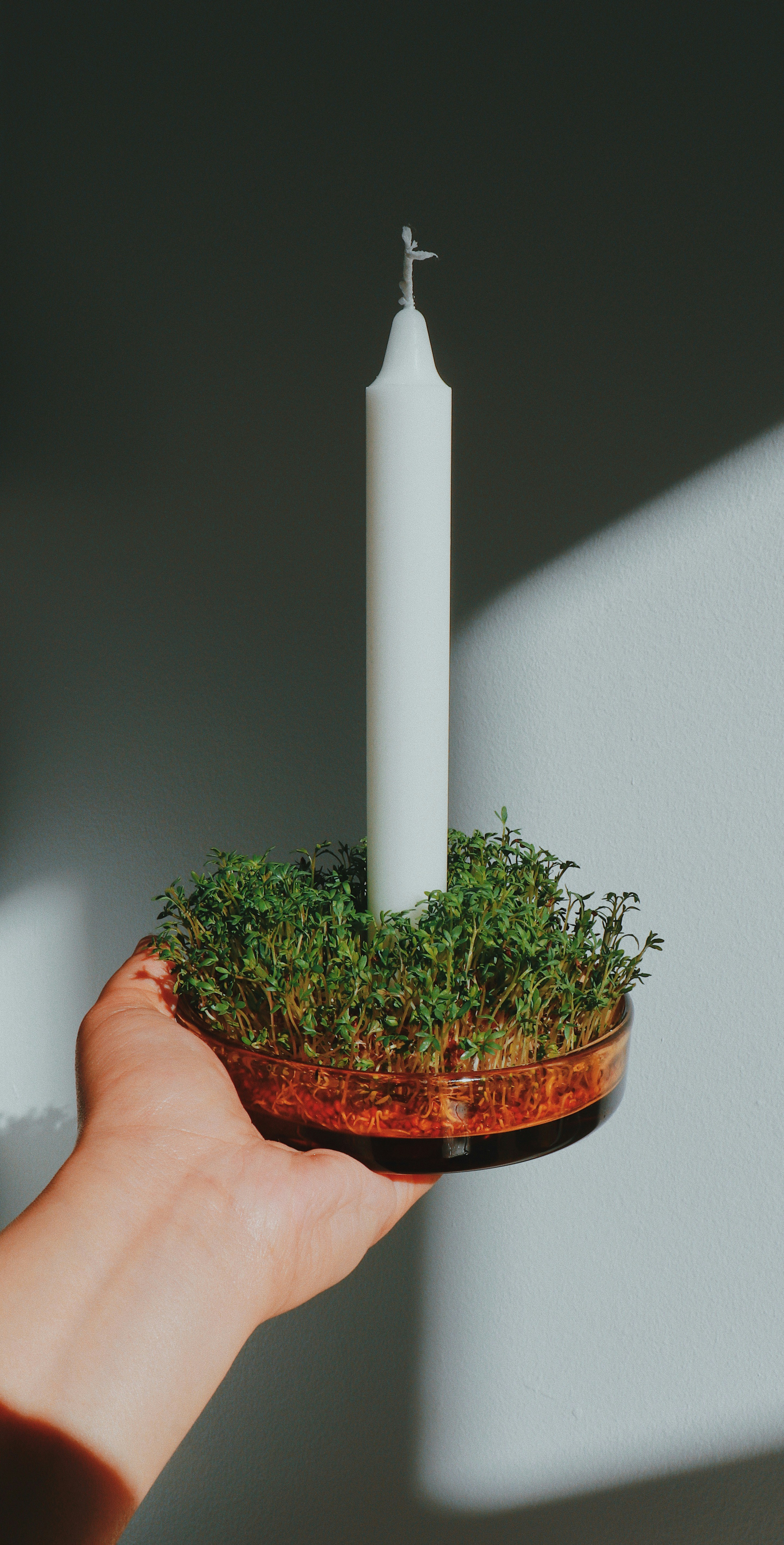 Candle in a Thyme Bed: a Minimal Handheld Still-Life