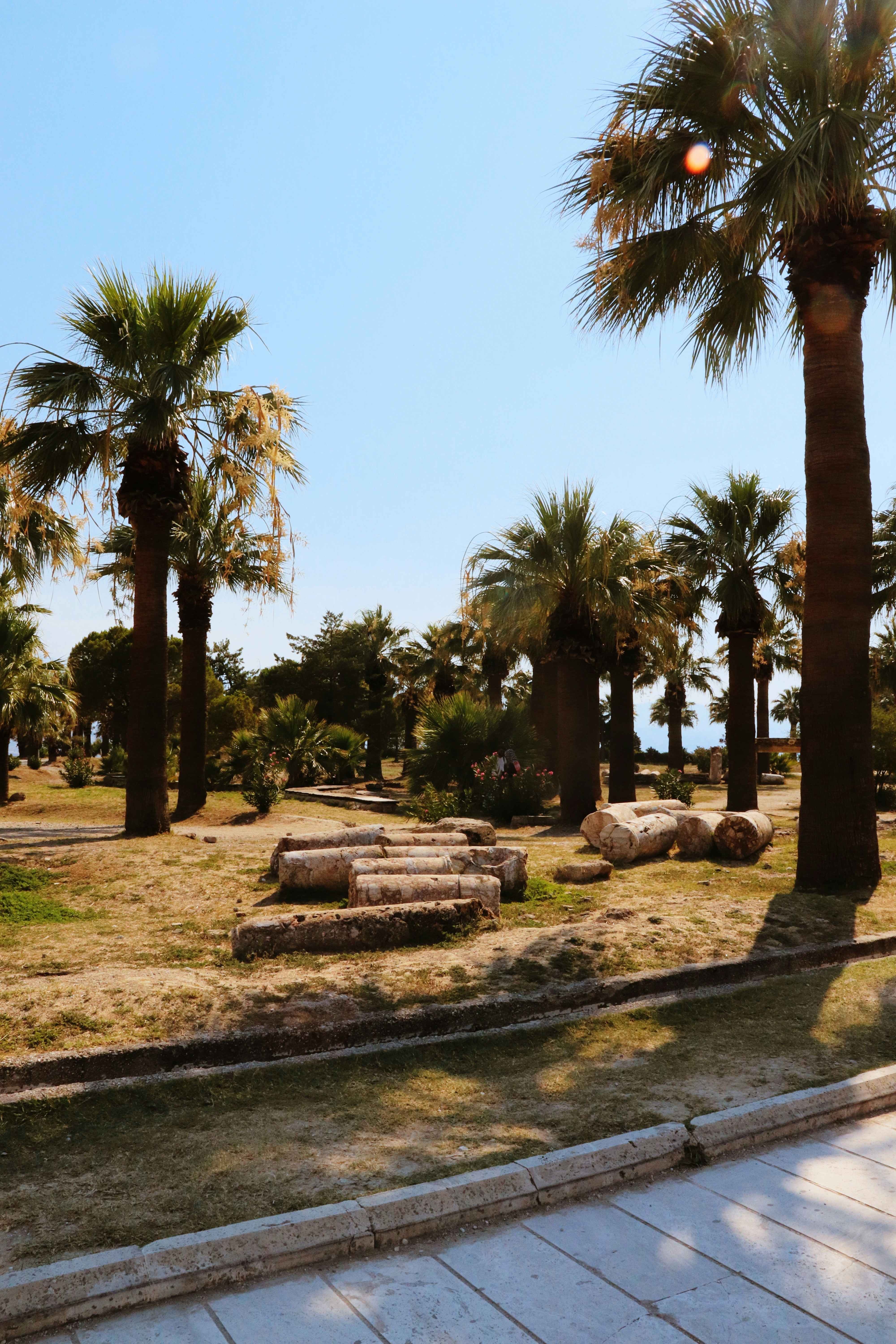 Palm trees and ruins under a clear blue sky. photo – Free Forest Image ...