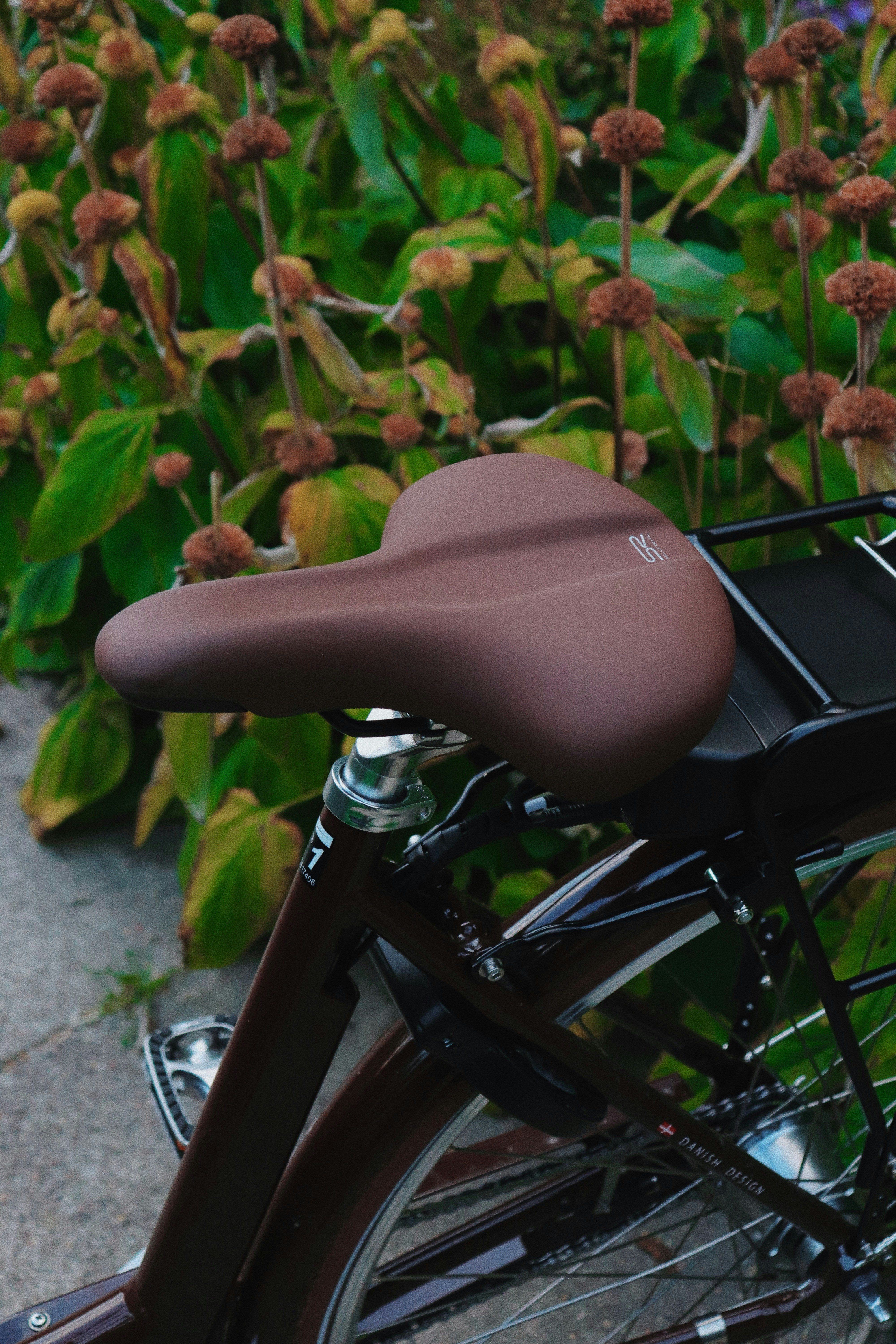 A brown bike seat is surrounded by flowers. photo – Free Bike Image on ...
