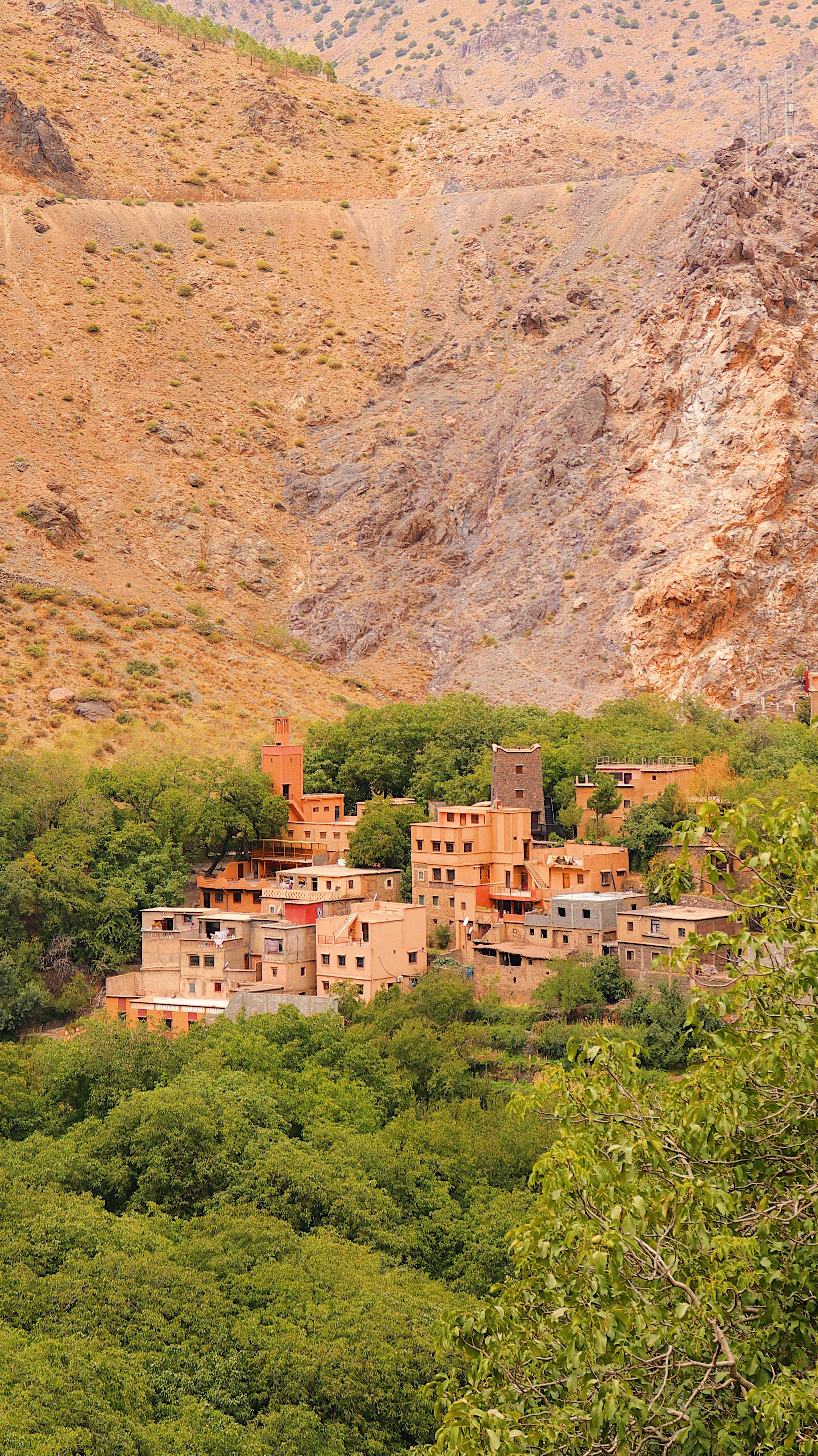 Gaana Srinivas (@gaana) | Unsplashフォトコミュニティ