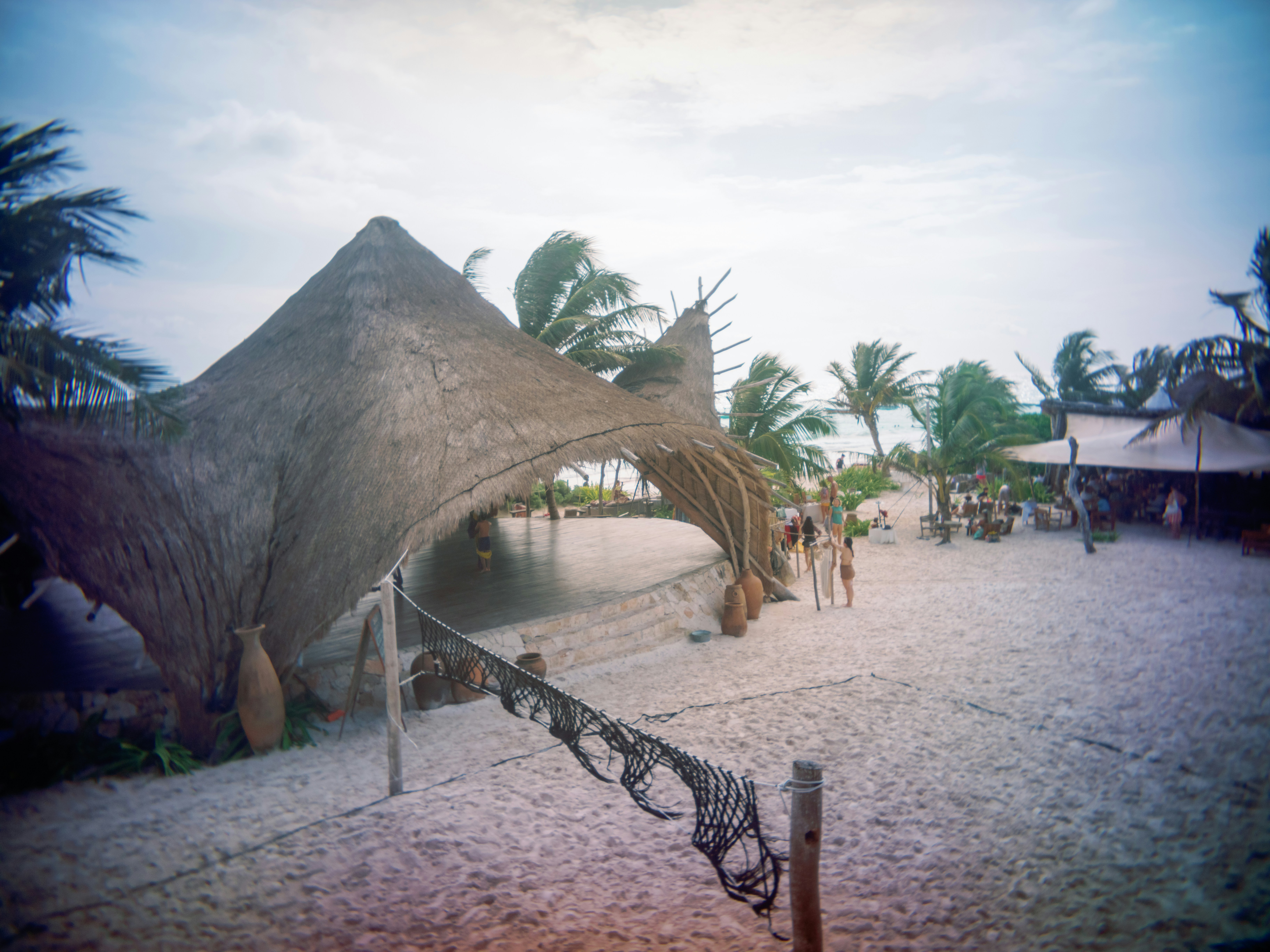 Rustic beach canopy with woven texture surrounded by palm trees on a sandy shore.