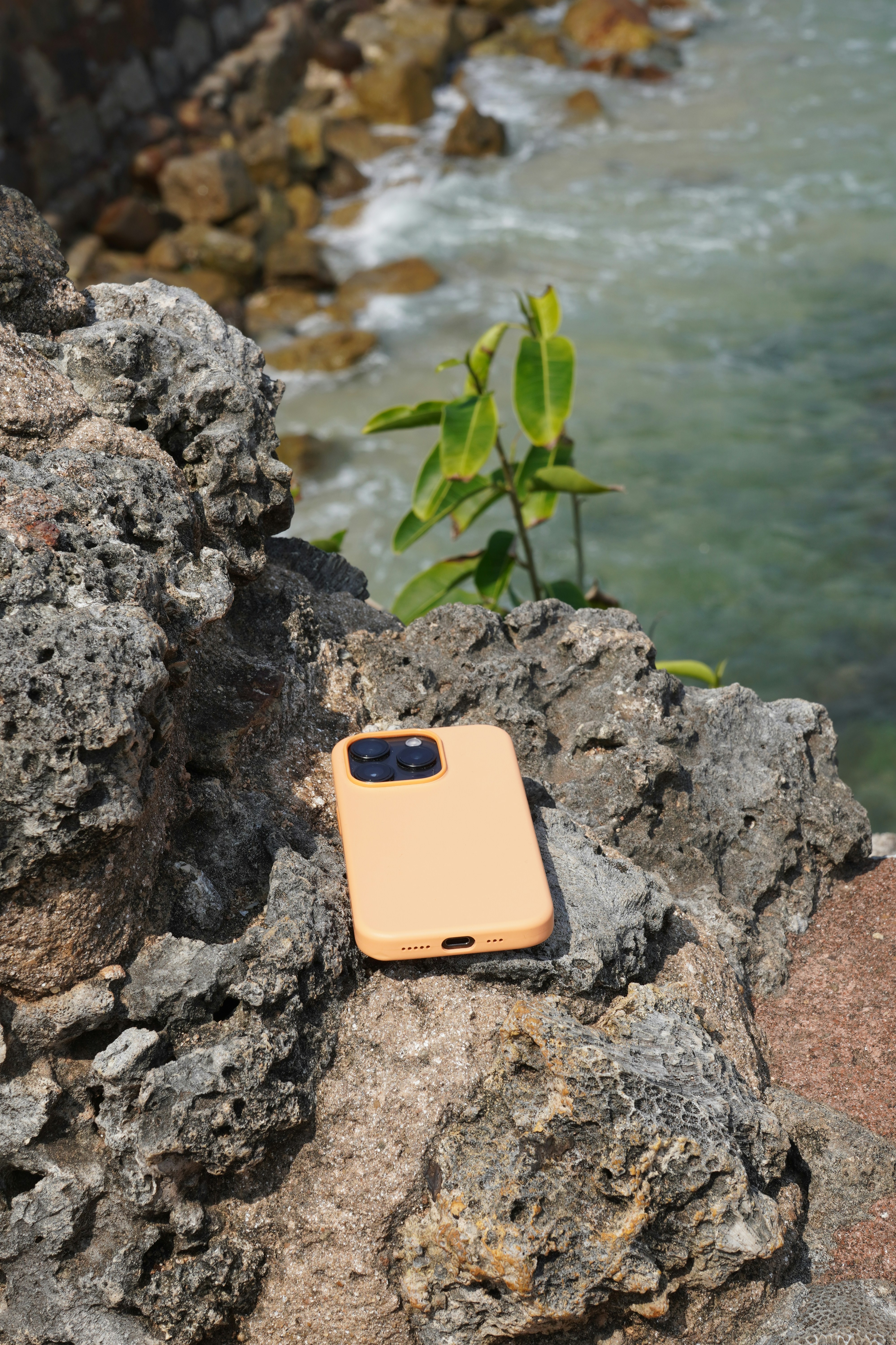 Tech Meets Nature: A Moment on the Rocks