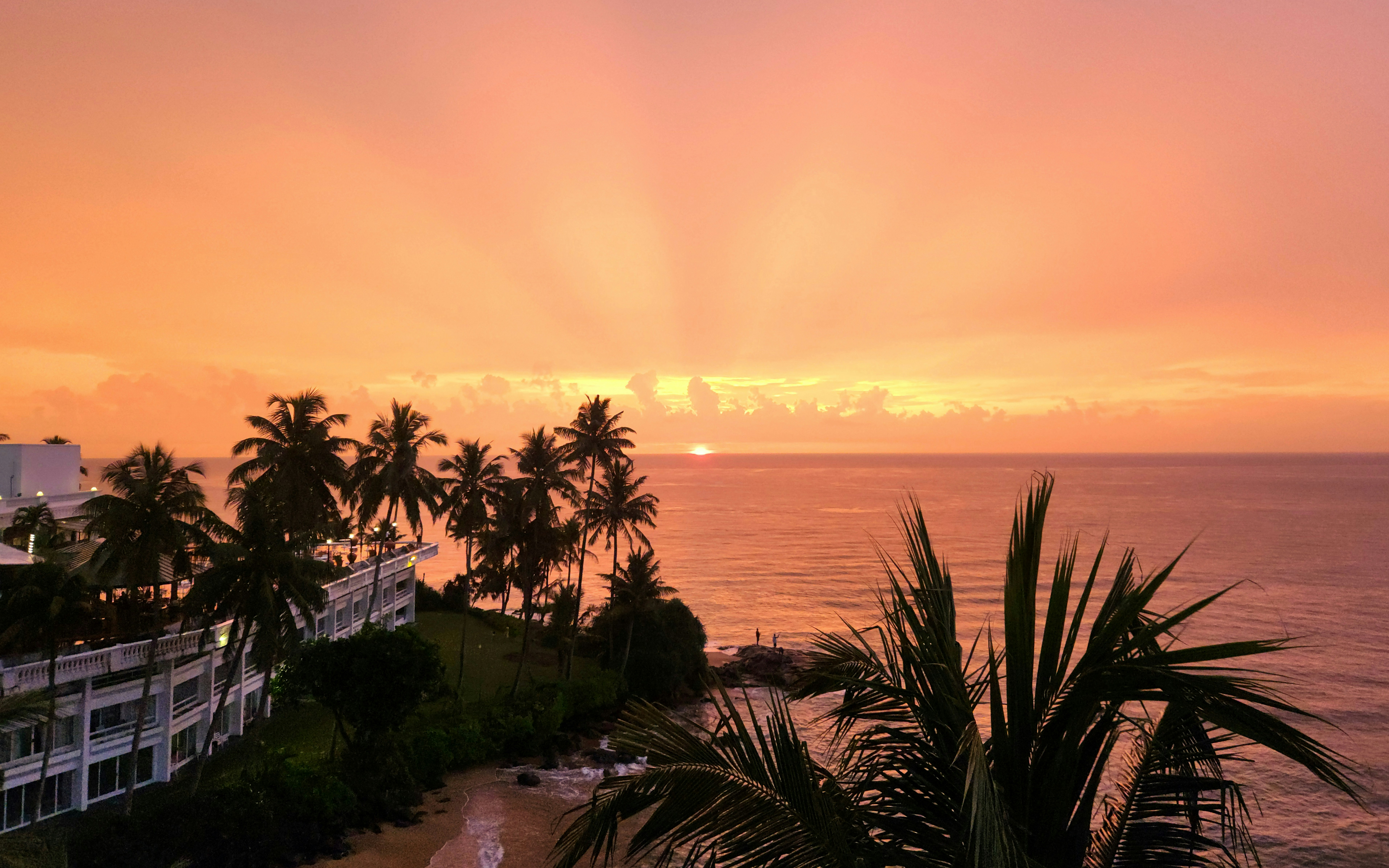Orange-hued sunset over the ocean with silhouetted palm trees and a distant hotel.