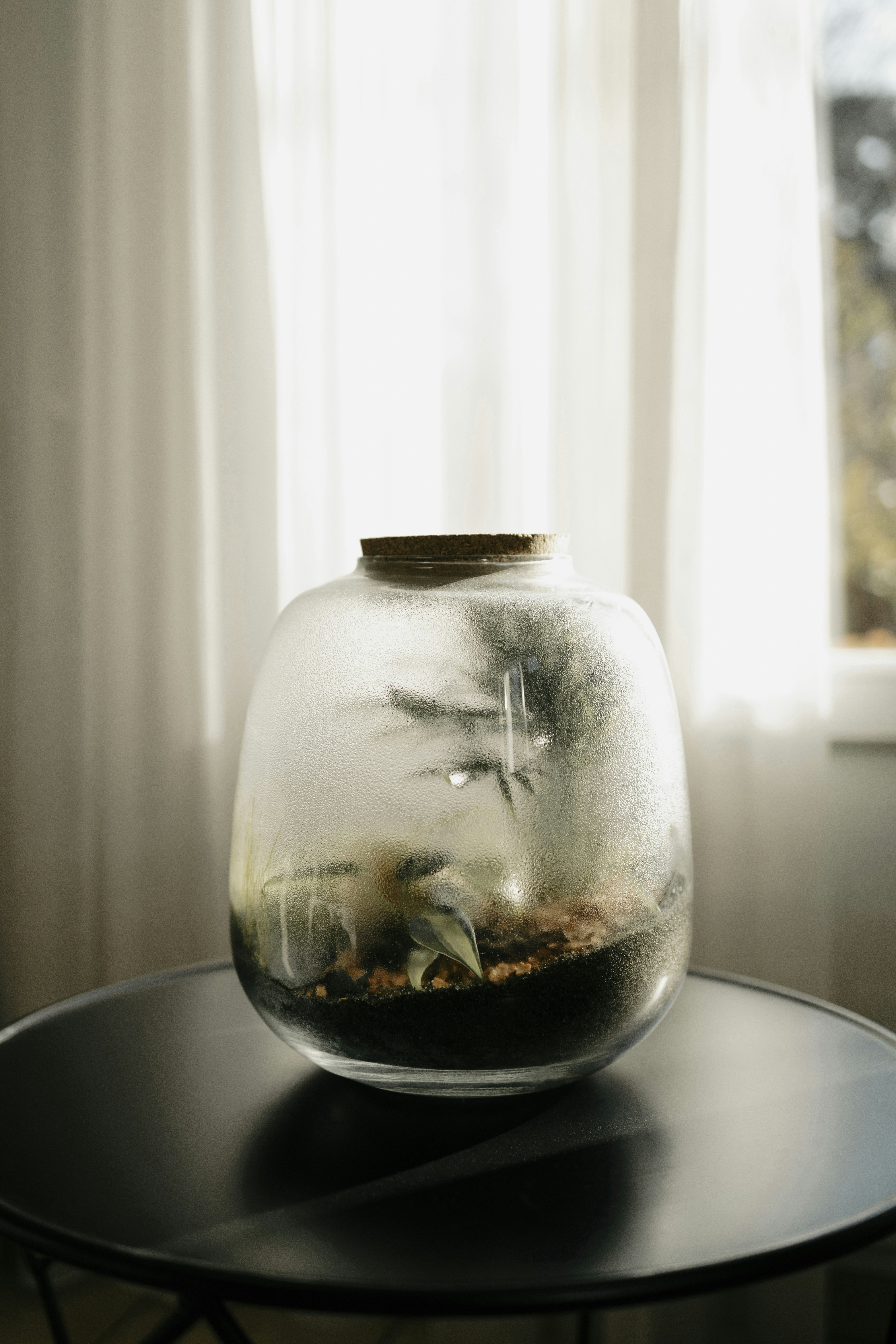 A glass terrarium filled with aquatic plants and gravel, capturing the essence of a miniature ecosystem. The condensation on the glass adds a touch of mystique.