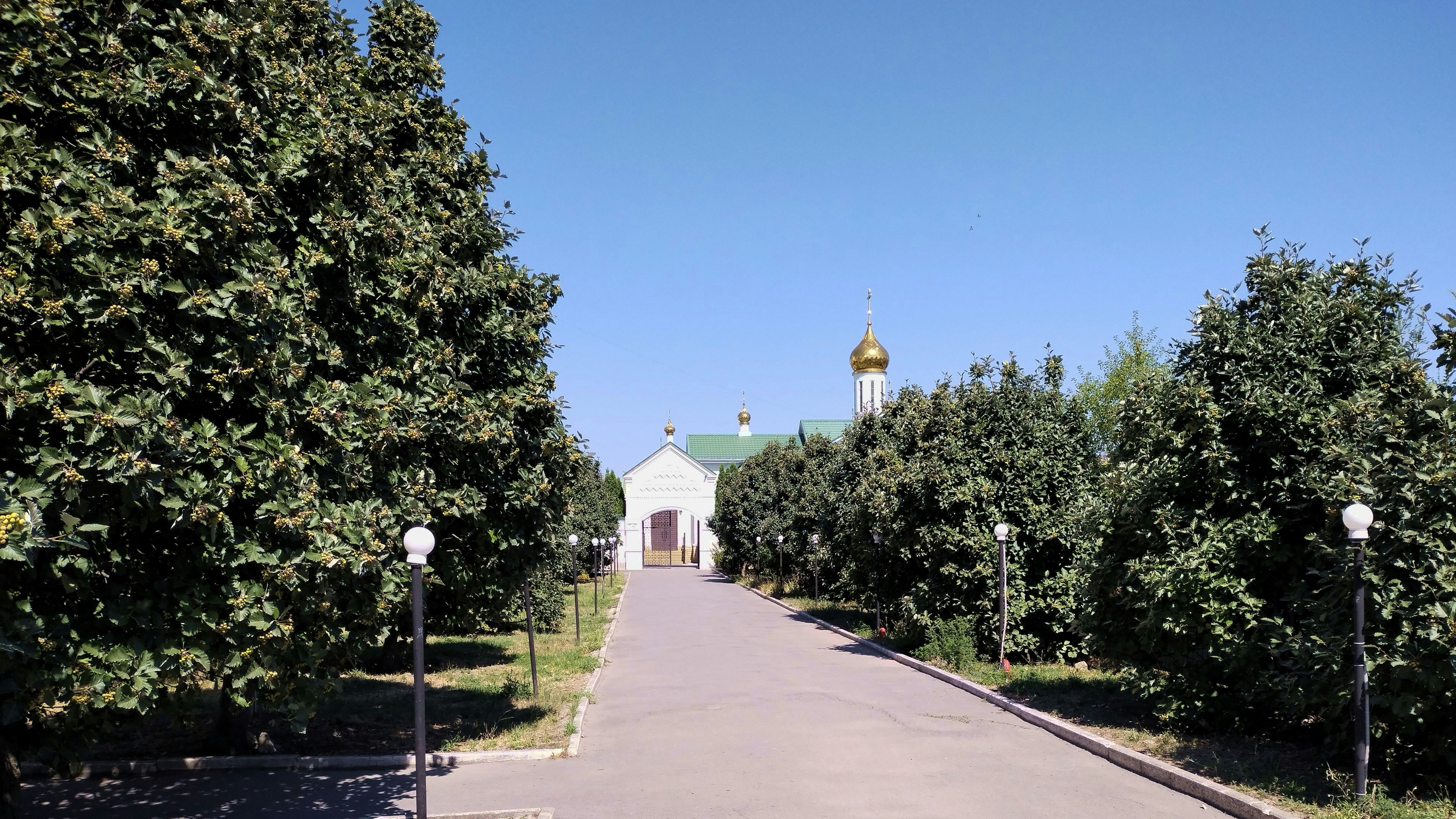Tree-lined path leading to a building with a golden dome under a clear blue sky.