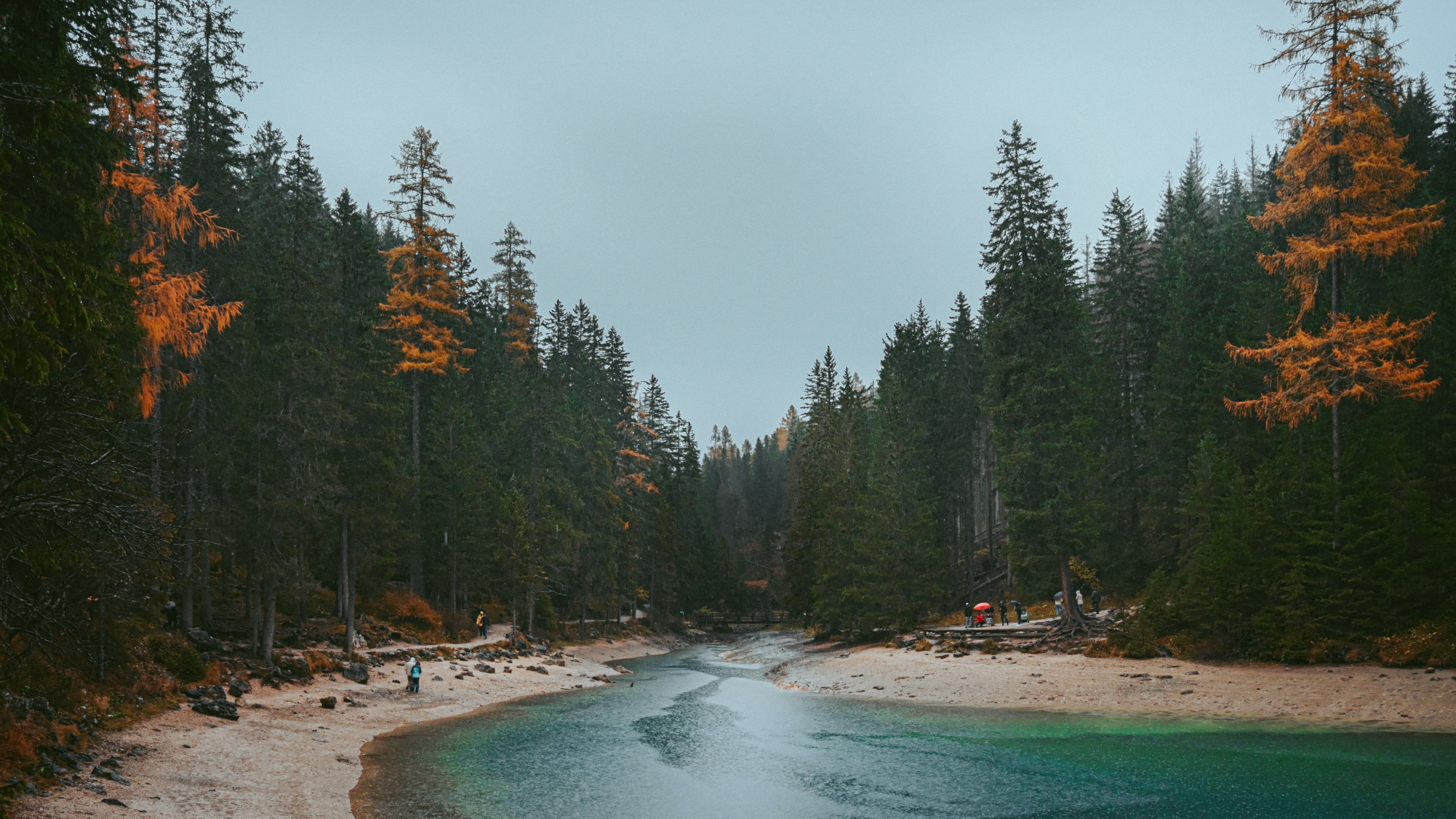 Un río sereno fluye a través de un denso bosque. foto – Imagen de Papel ...