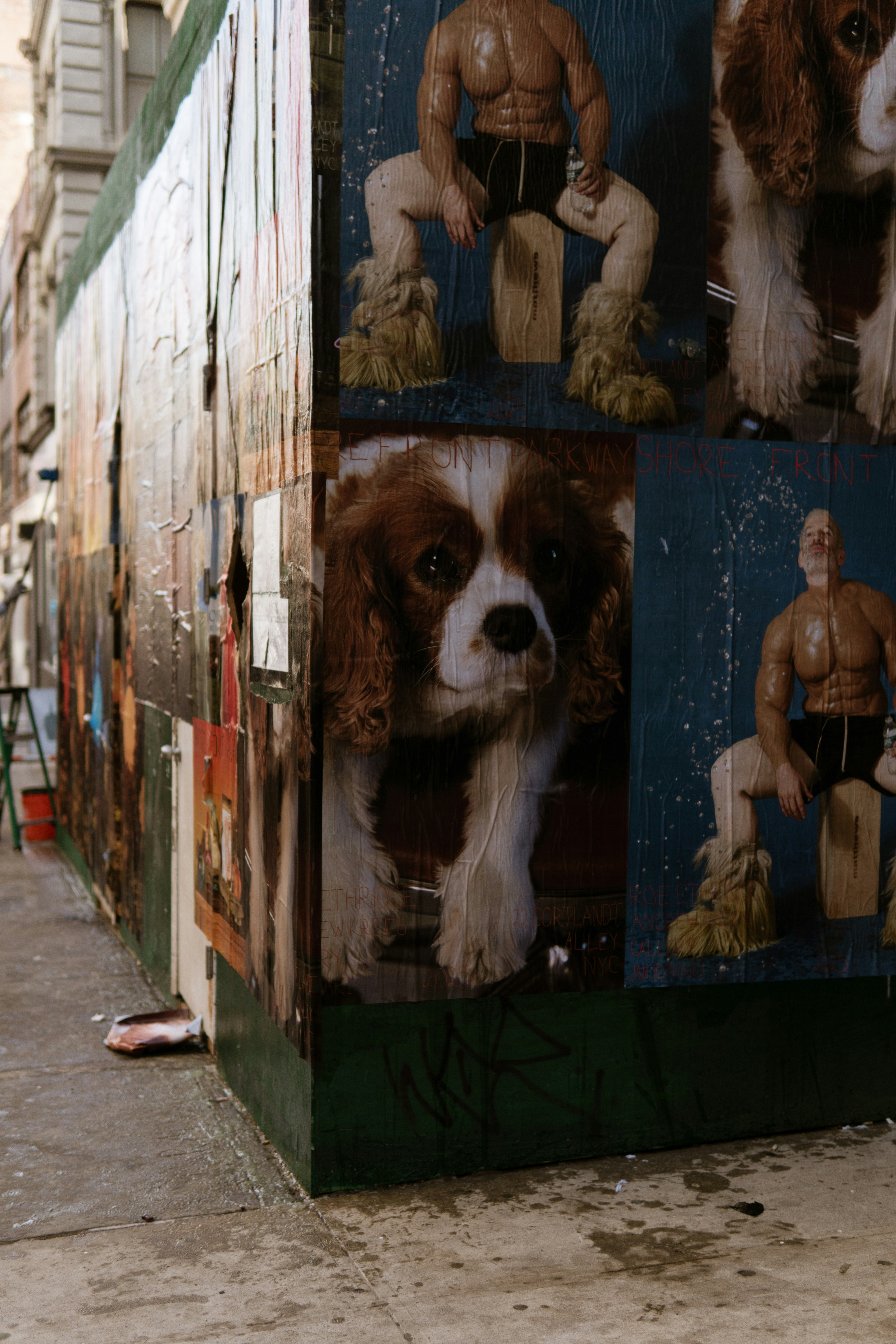 Dog in a Wall of Posters: A Street Gallery Creeps into View