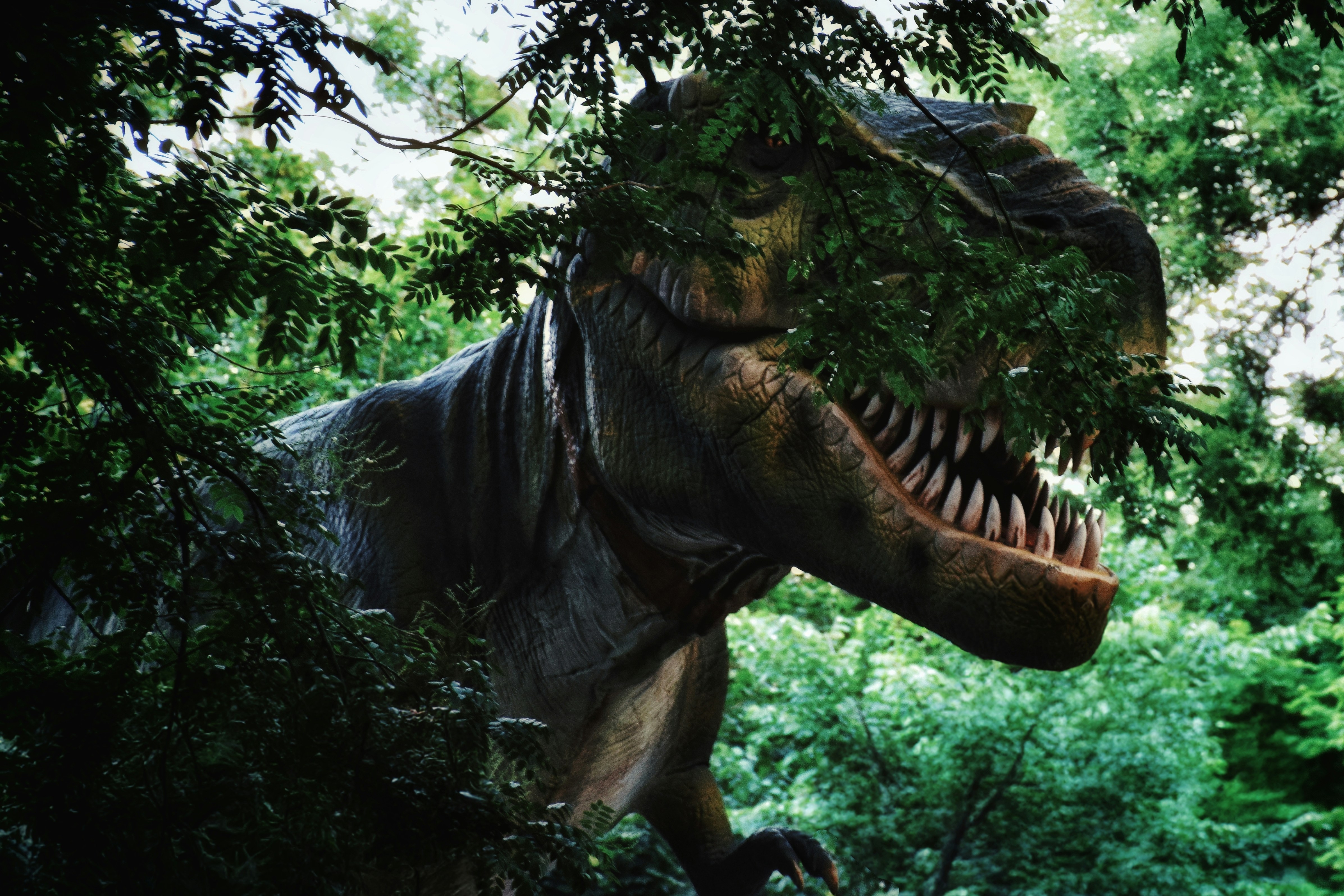 Jurassic Glimpse A realistic dinosaur model lurks behind the dense greenery, its sharp teeth and menacing gaze emerging through the foliage. The blend of shadows and vibrant forest hues creates a dramatic and almost lifelike prehistoric scene. | A tyrannosaurus rex lurks within lush foliage.