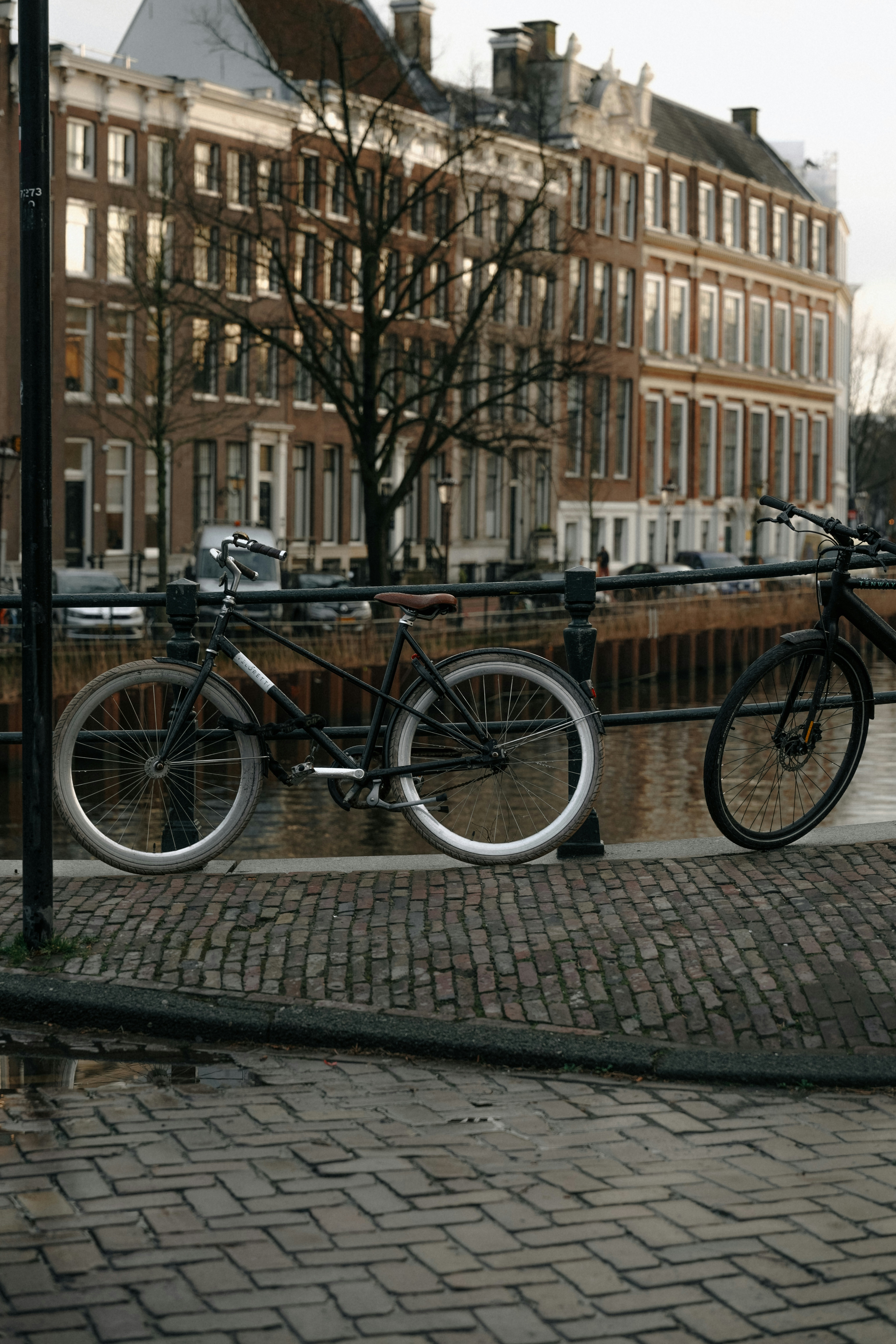 Bikes by the Canal: Quiet Geometry Along a Dutch Waterfront
