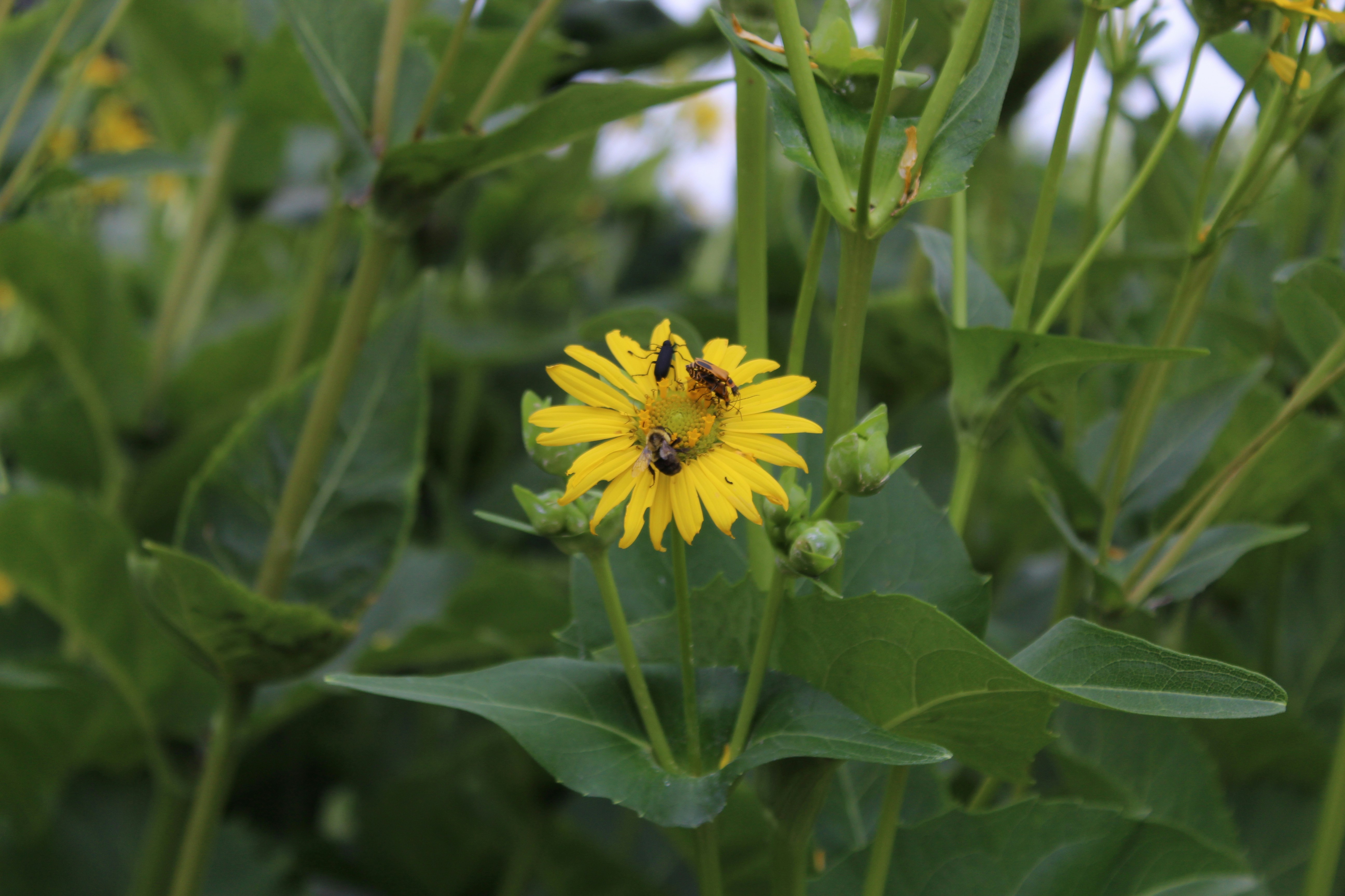 Taylor Bryce (@tbryce_2220) | Komunitas Foto Unsplash