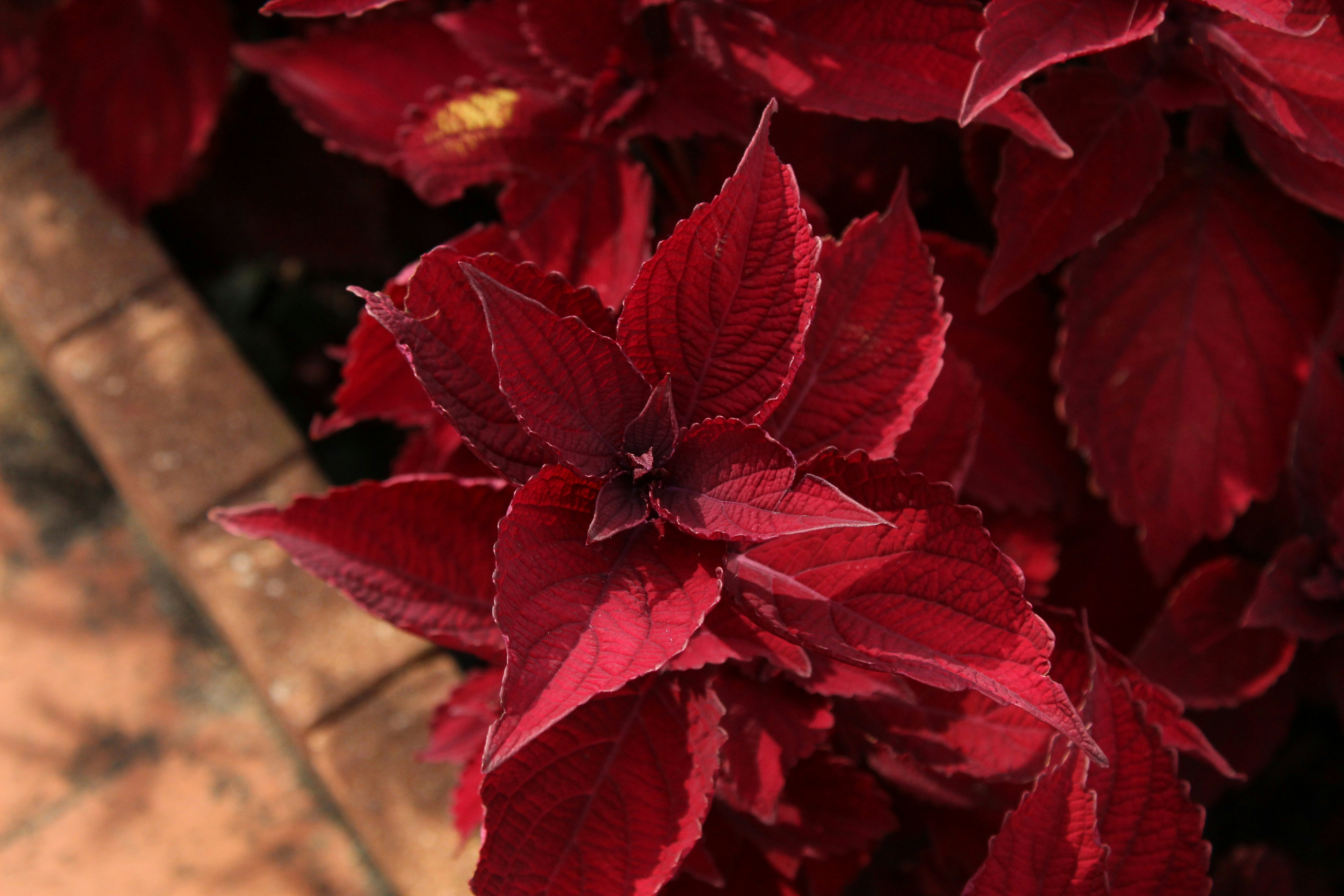 Taylor Bryce (@tbryce_2220) | Unsplash 사진 커뮤니티