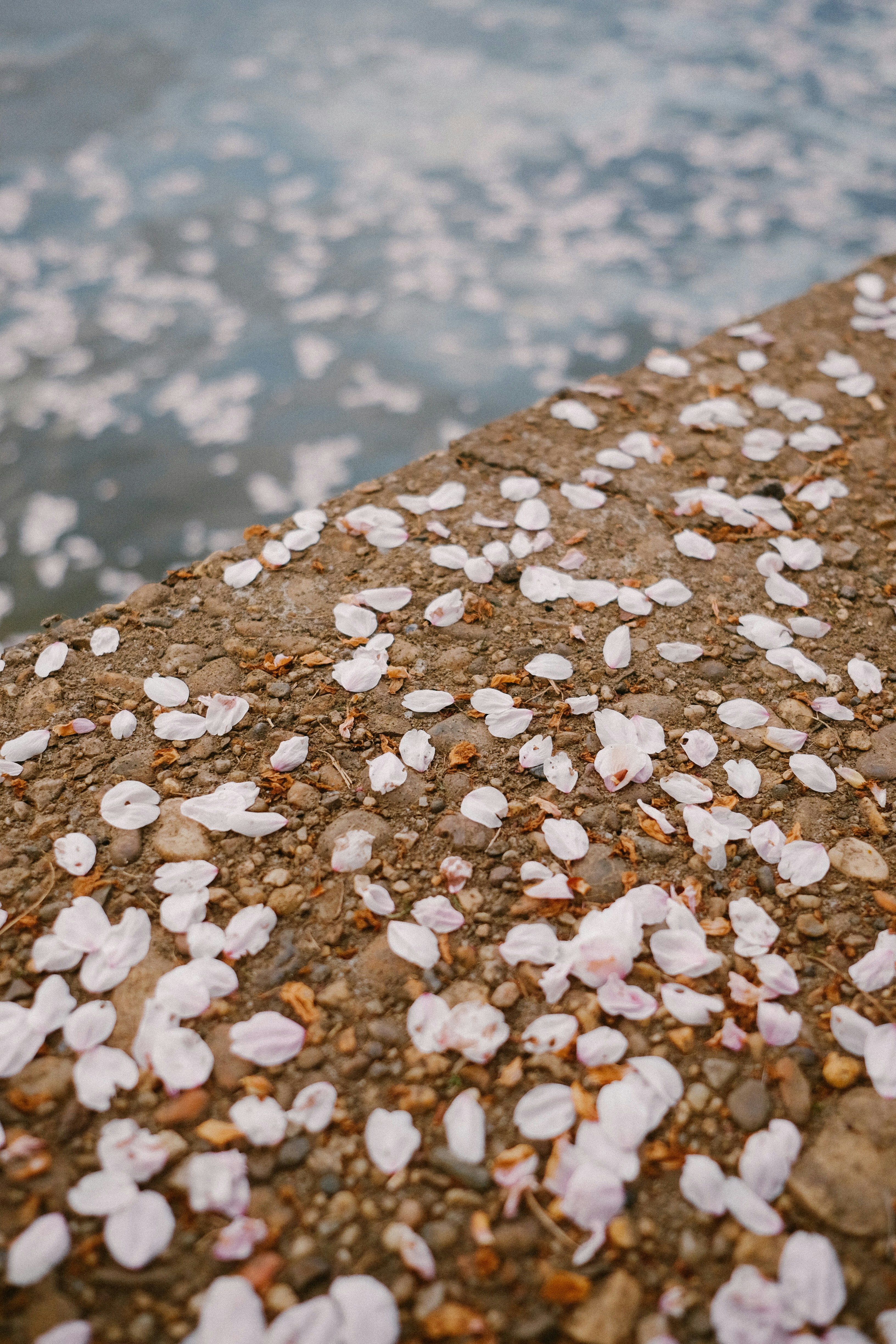 Photo by Sean Lee with Fujifilm X-T1