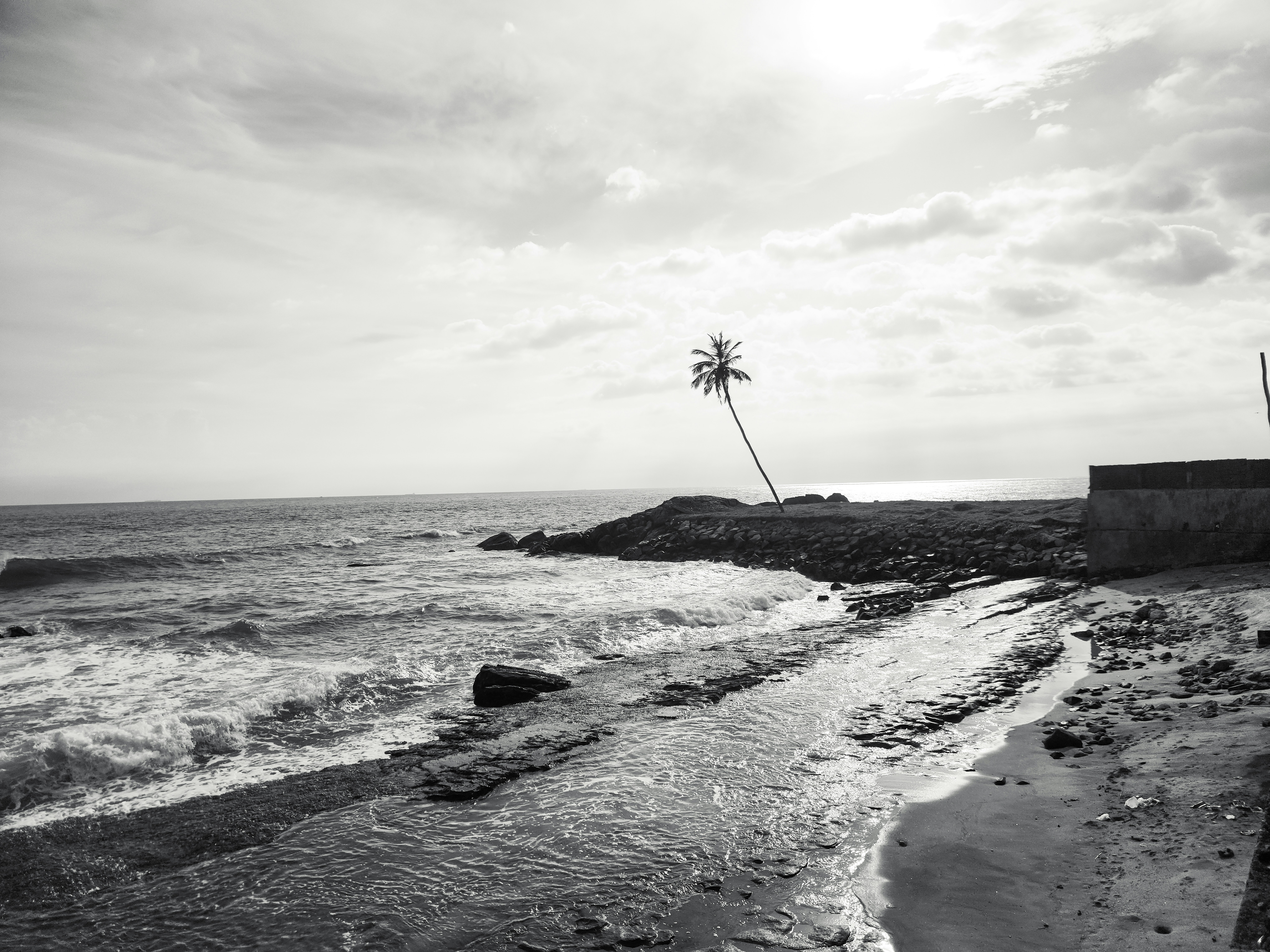 Black and white view of the Indian Ocean with waves crashing against the shore and a lone palm tree leaning from a rocky outcrop.