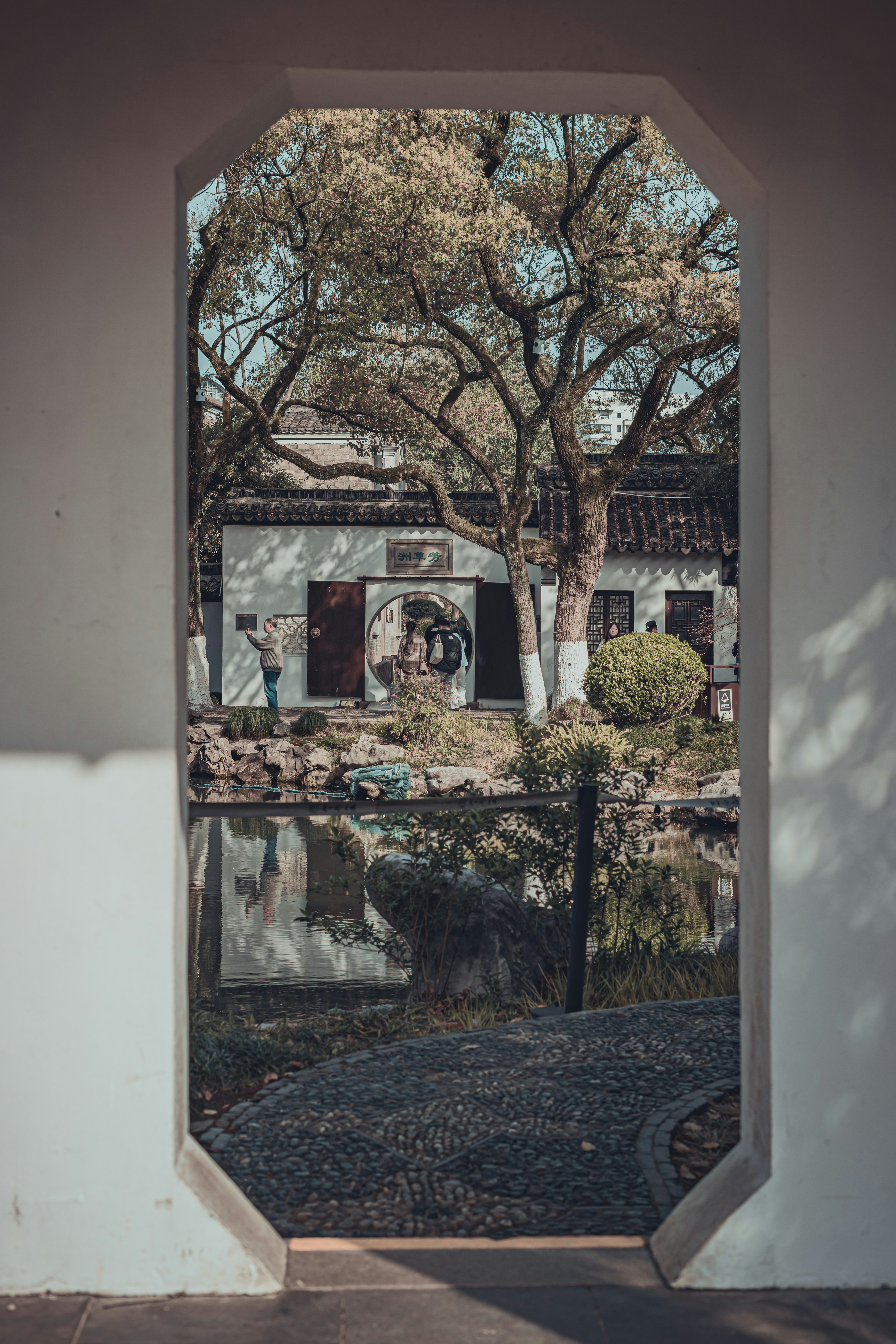 Traditional garden view through a geometric doorway, with trees and a pond reflecting the calm ambiance.