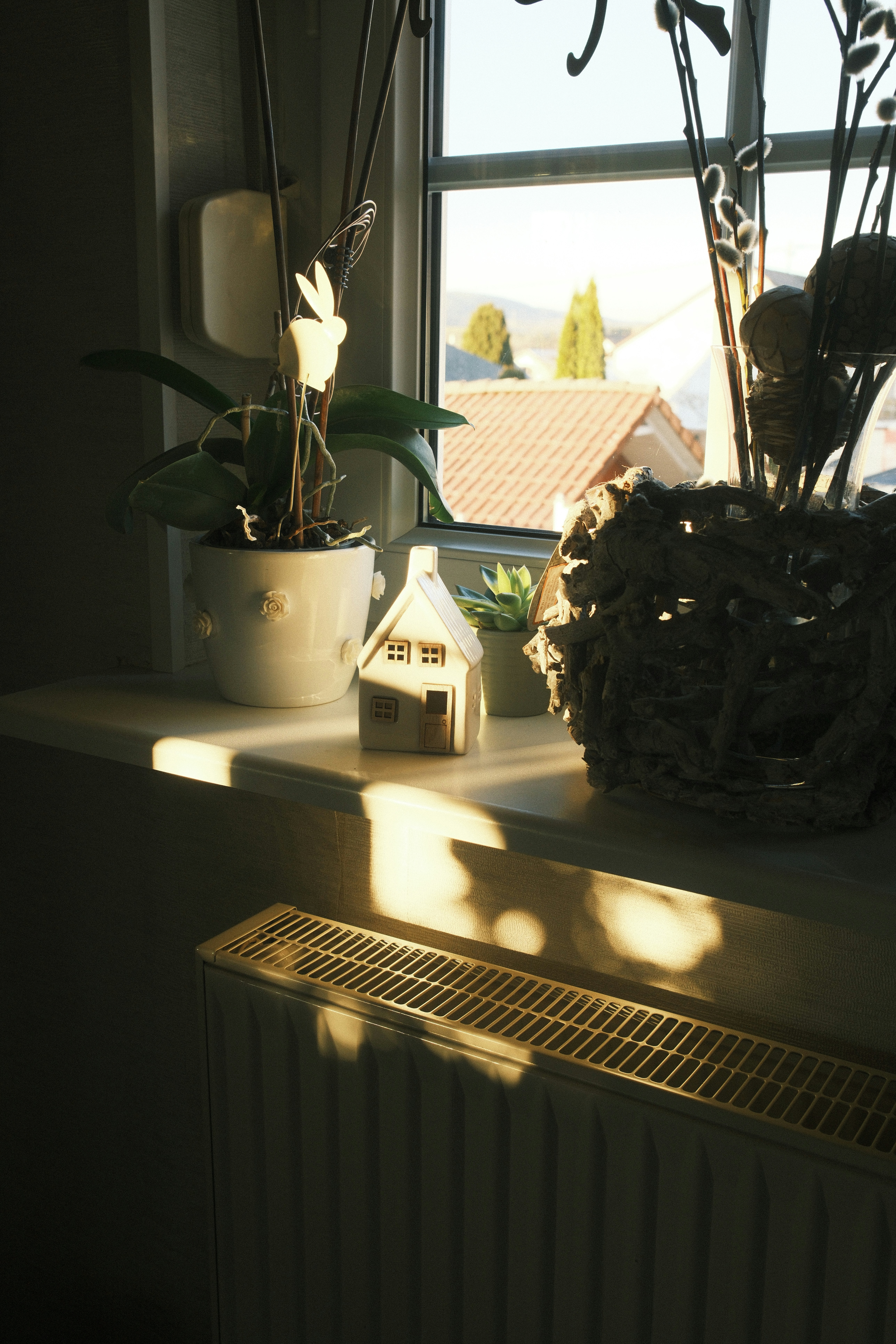 Window sill with decor bathed in sunlight. photo – Free Flower Image on ...