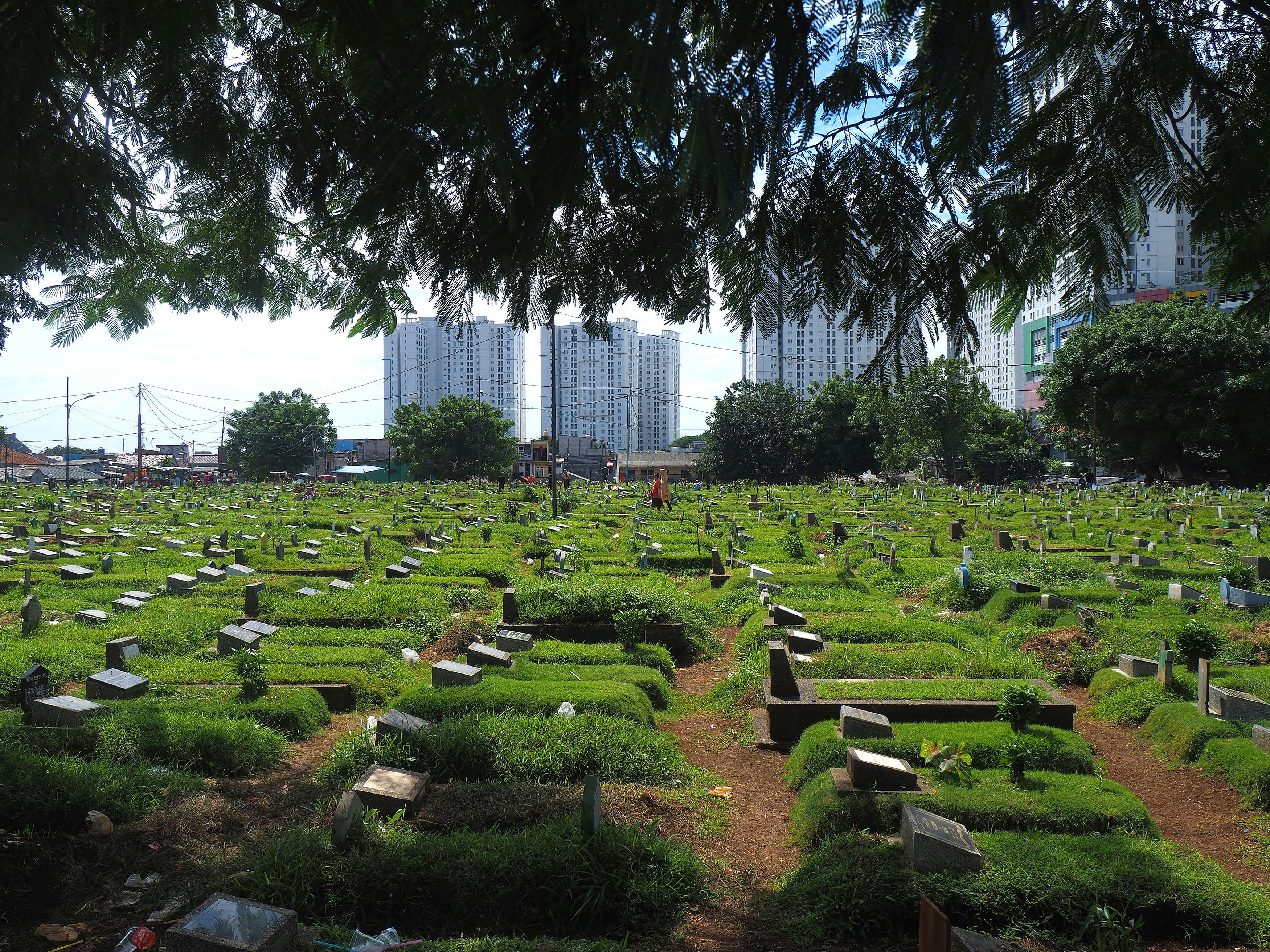 A cemetery with buildings in the background. photo – Free Building ...