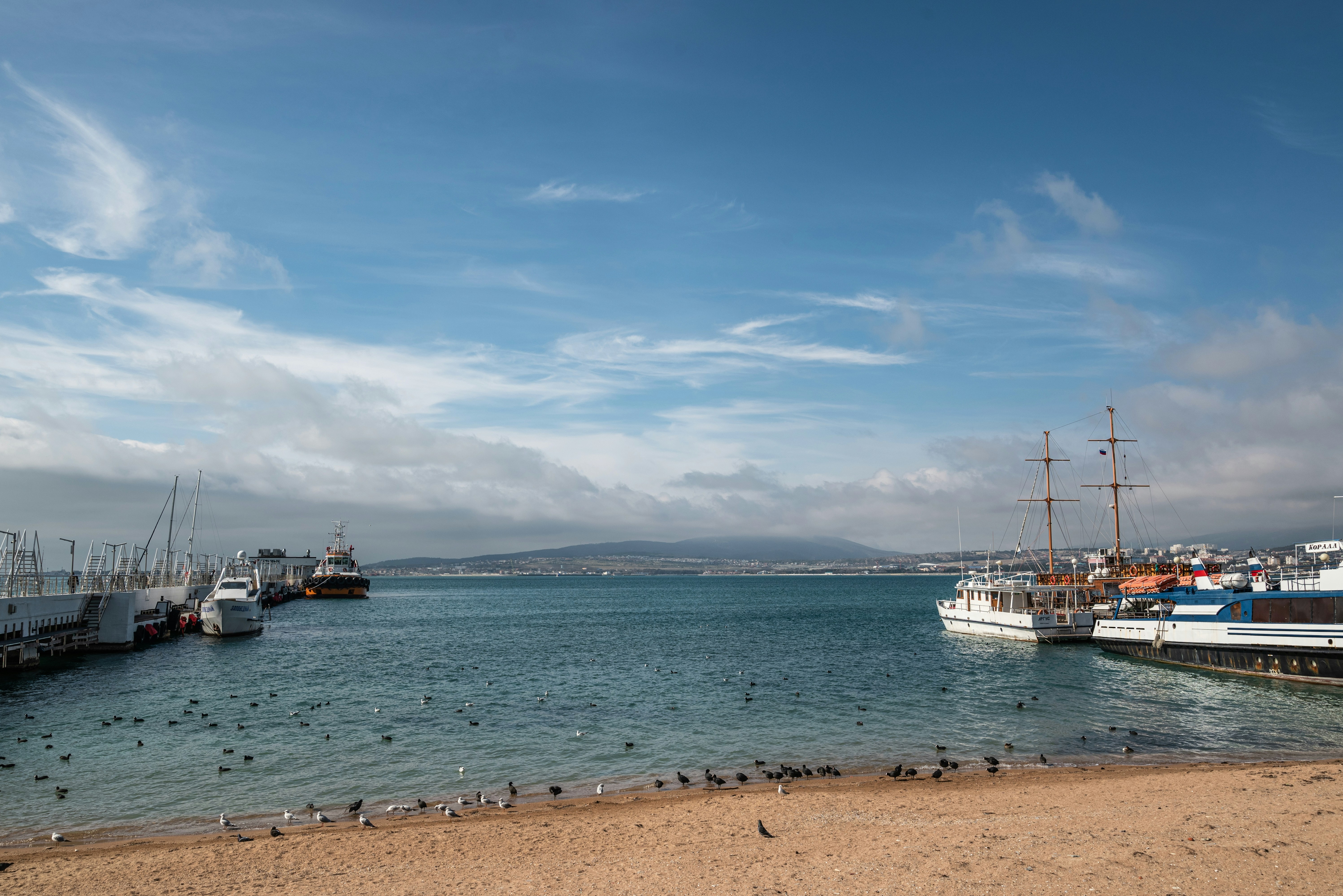 Serene Harbor Horizon