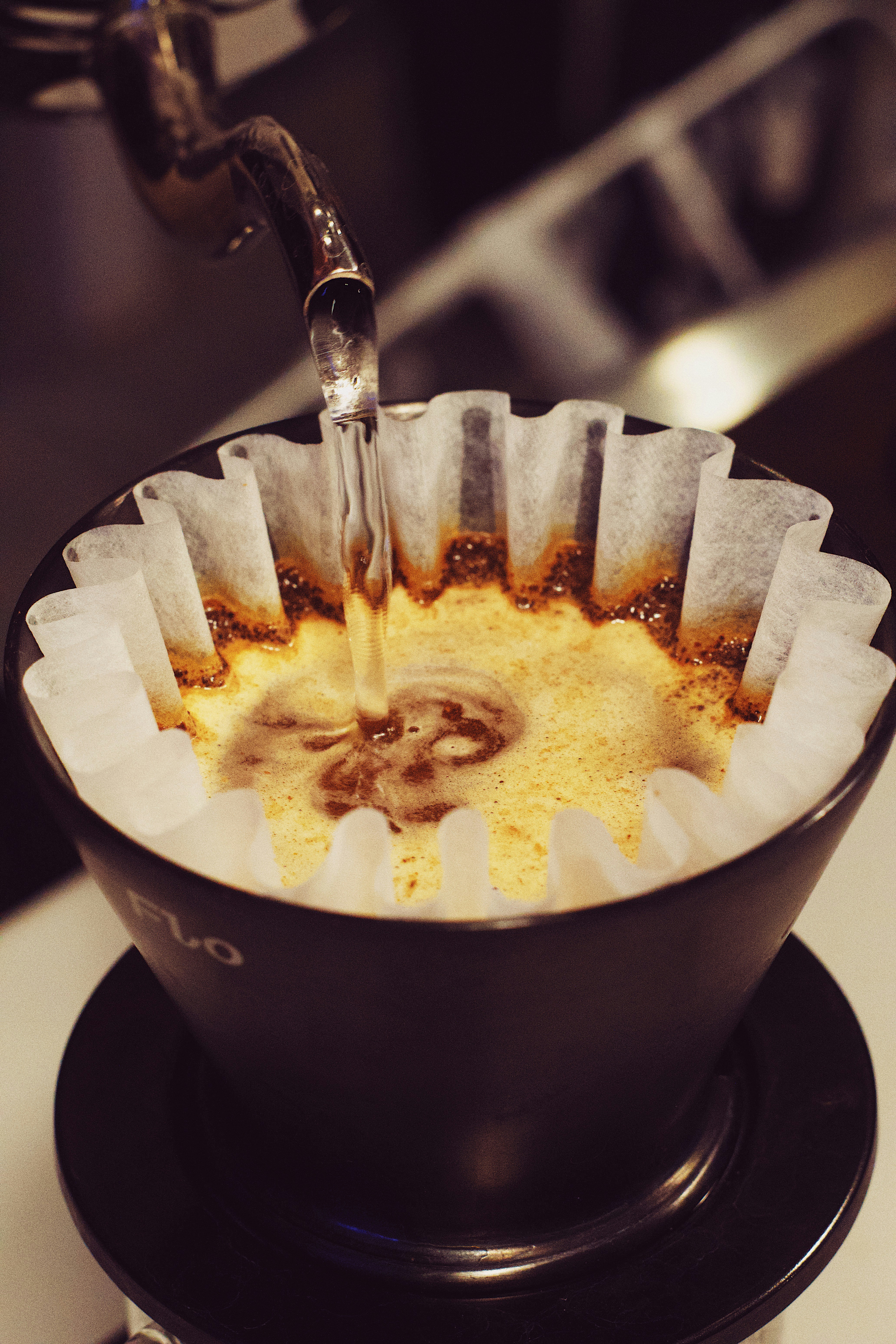 Pour-Over Pulse: Crema Bloom in a Paper-Filter Cone