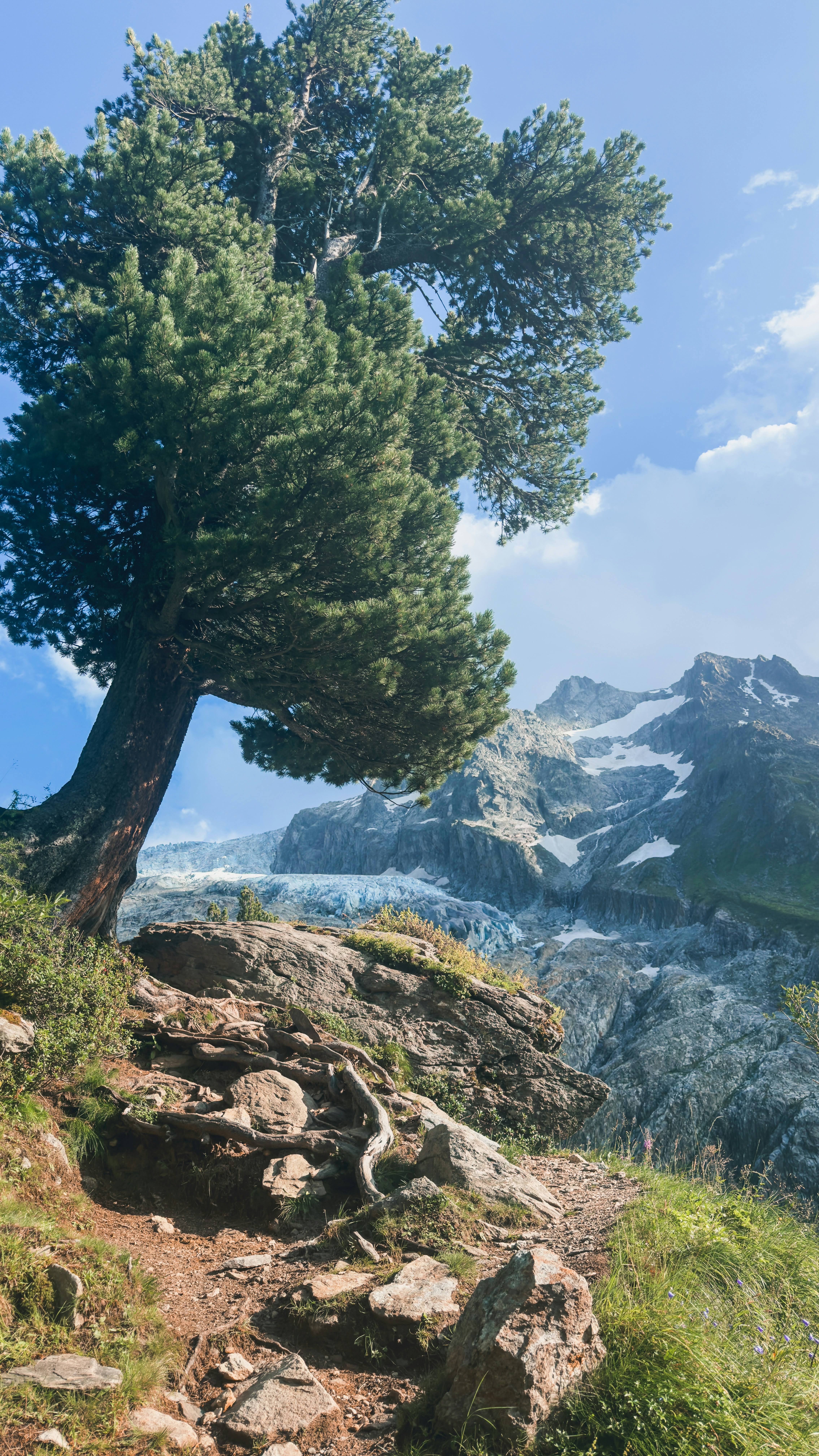 Alpine Majesty: Nature's Vertical Symphony