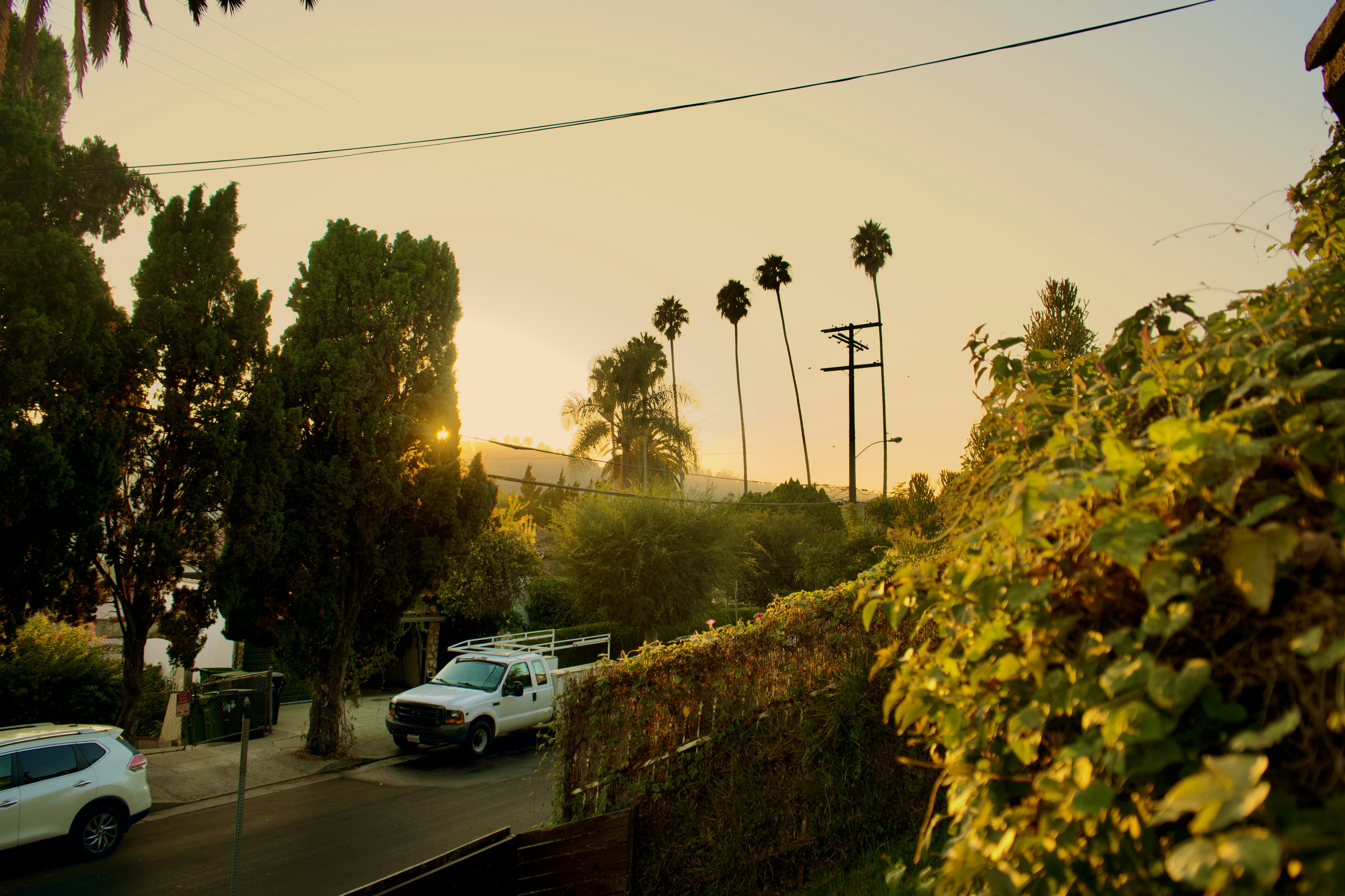 Sunset casts a warm glow over a suburban street lined with trees and parked cars.