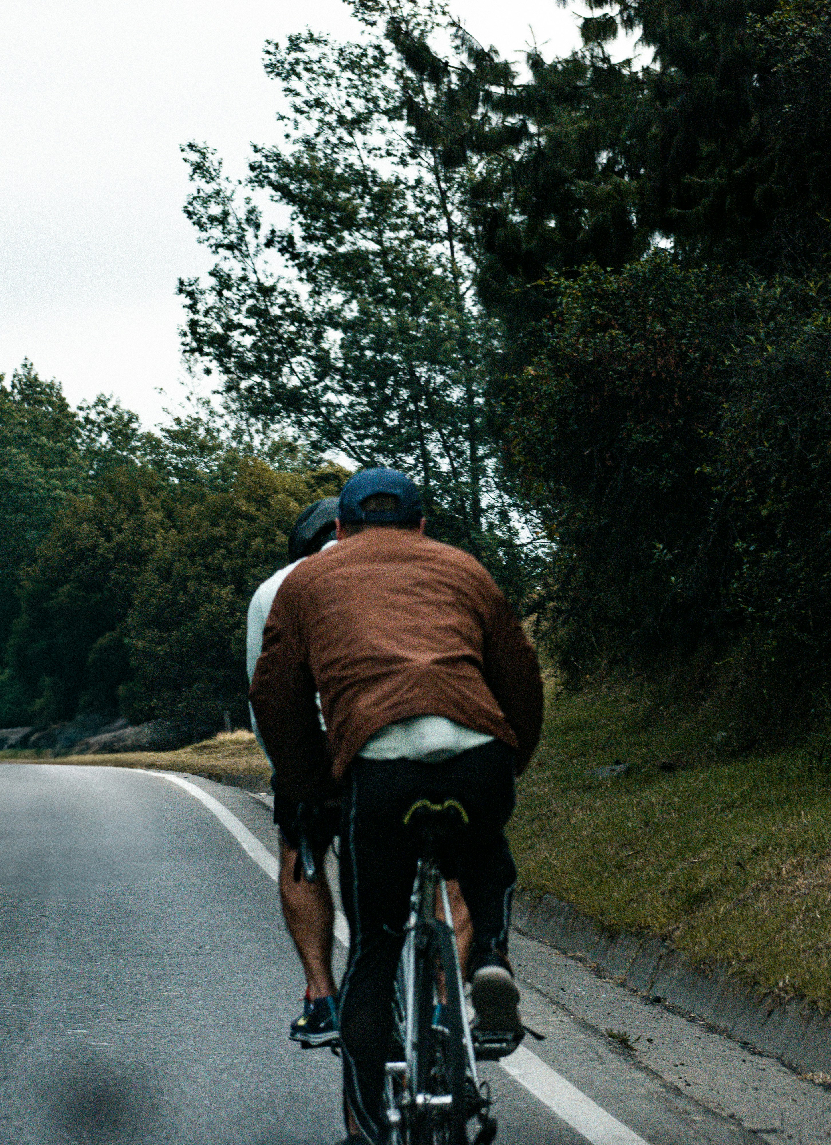 Two cyclists navigate a winding road lined with lush greenery, showcasing the harmony between man and nature.