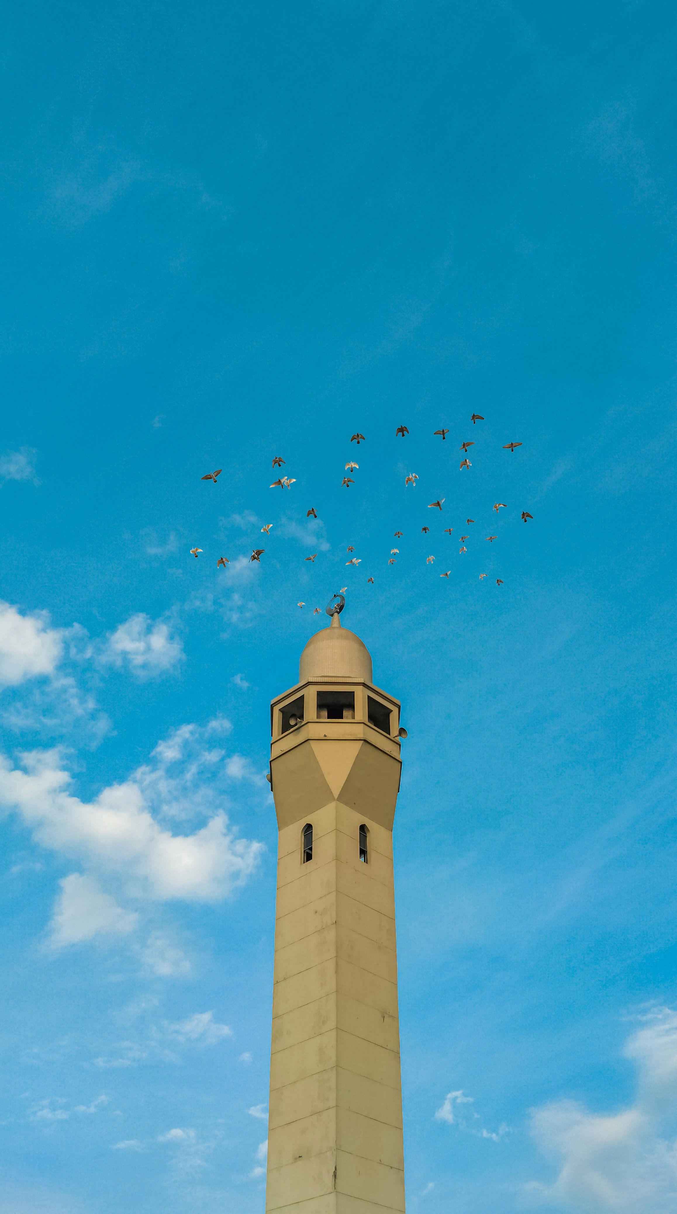 Azure Spire and the Flock Above