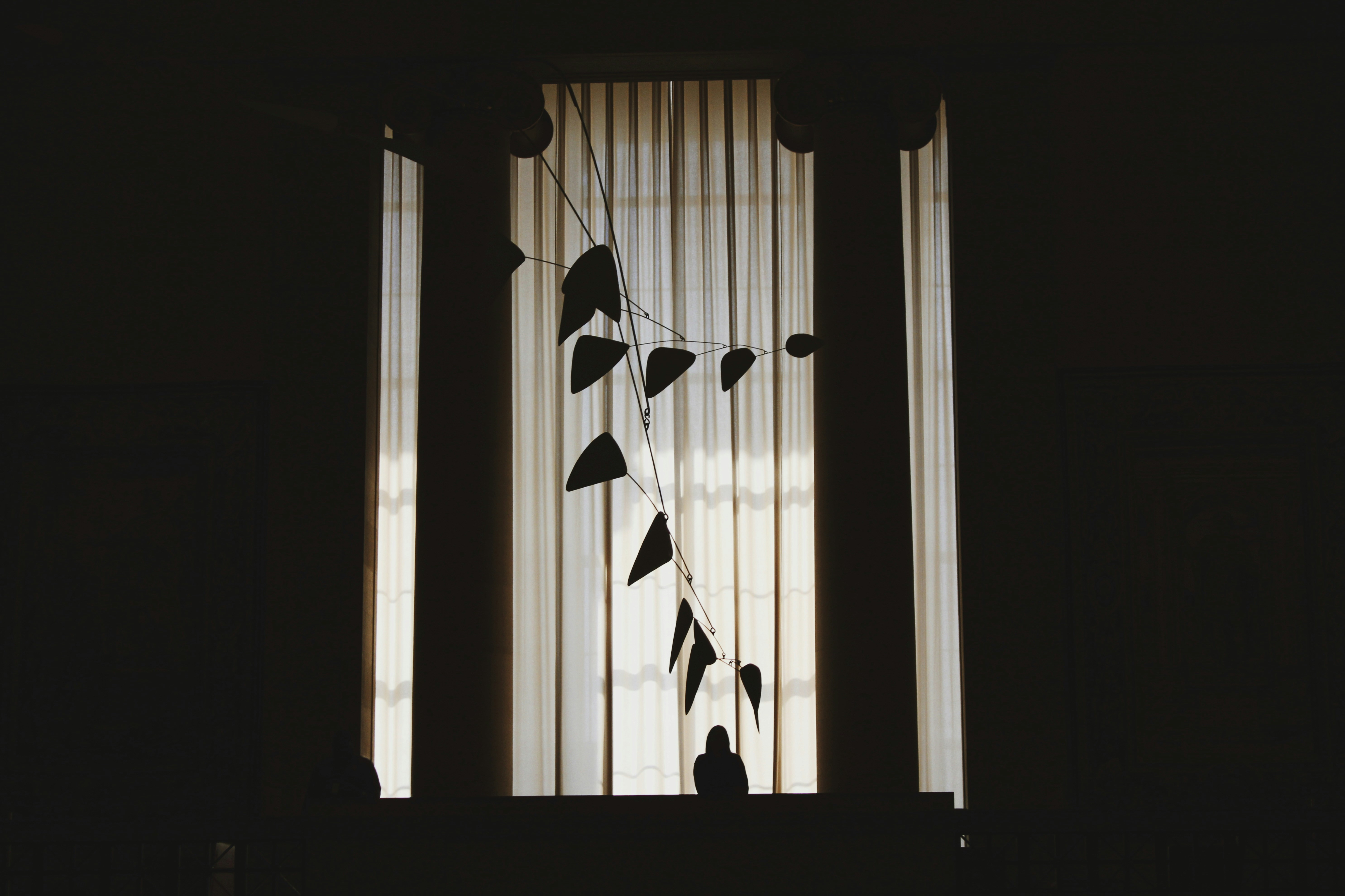 Photo by Janylah Etienne with Canon EOS 2000D