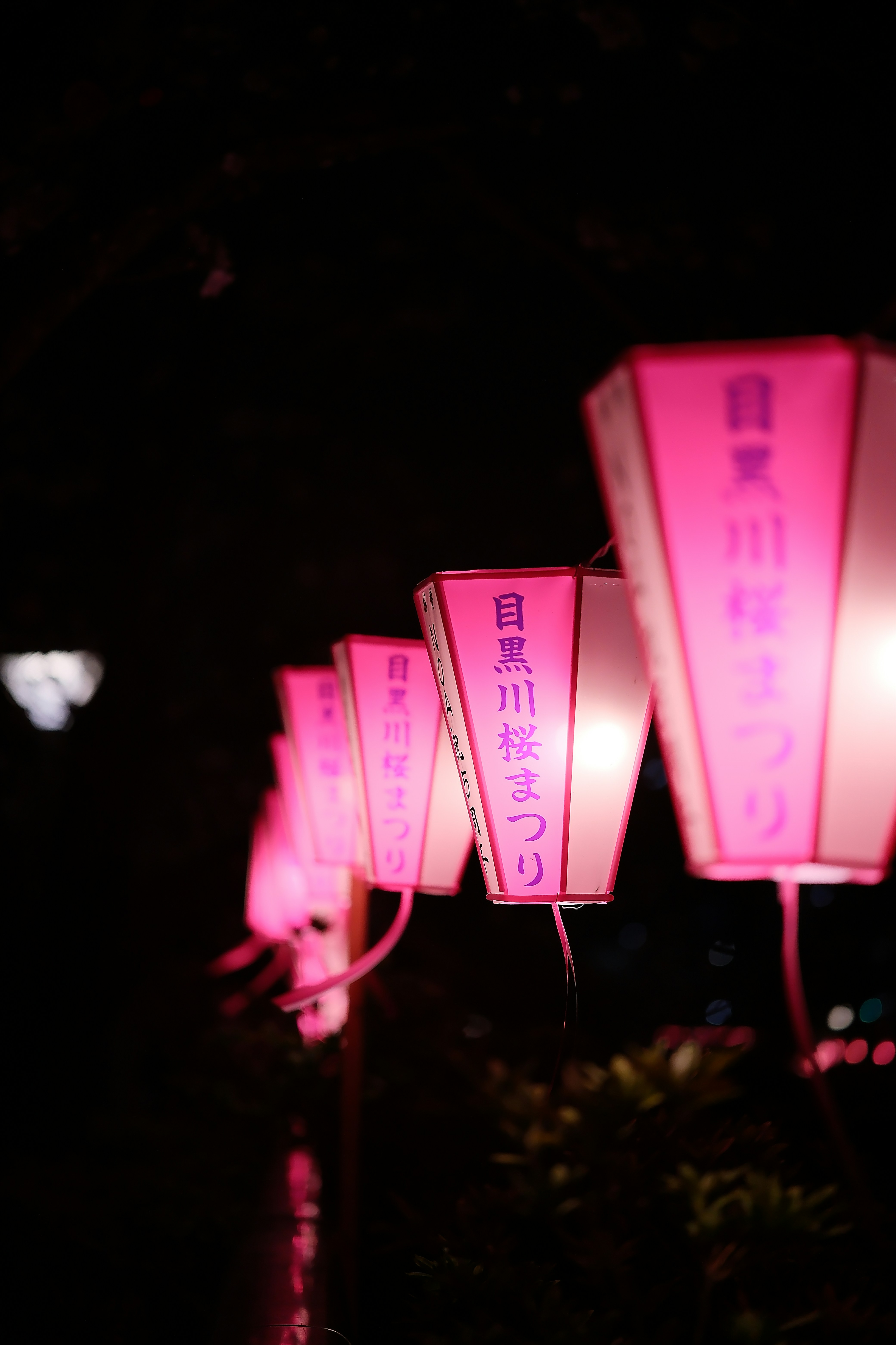 Pink lanterns glow in the night. photo – Free Lighting Image on Unsplash