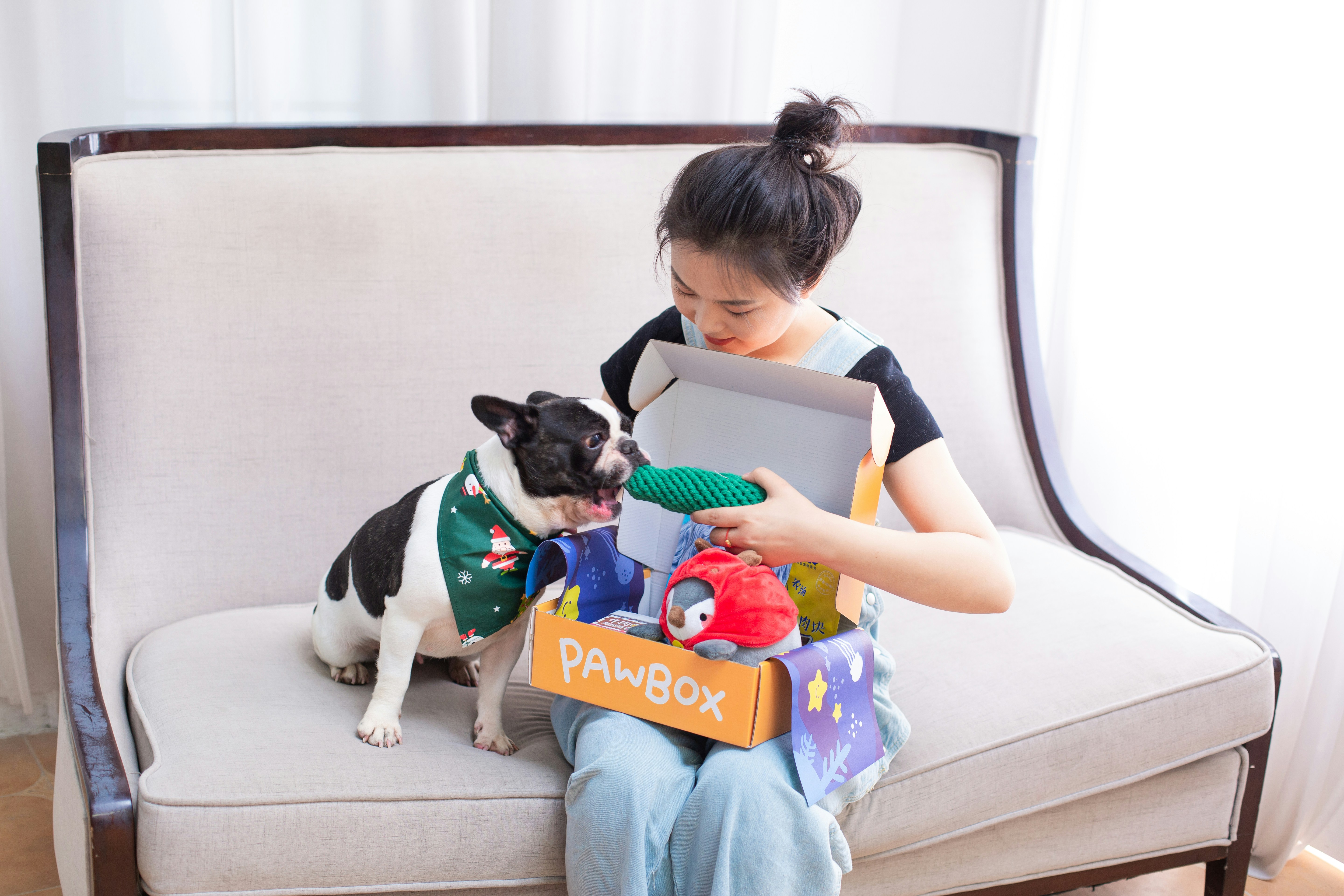 Girl and dog open a pawbox filled with toys. photo – Free Girl Image on Unsplash