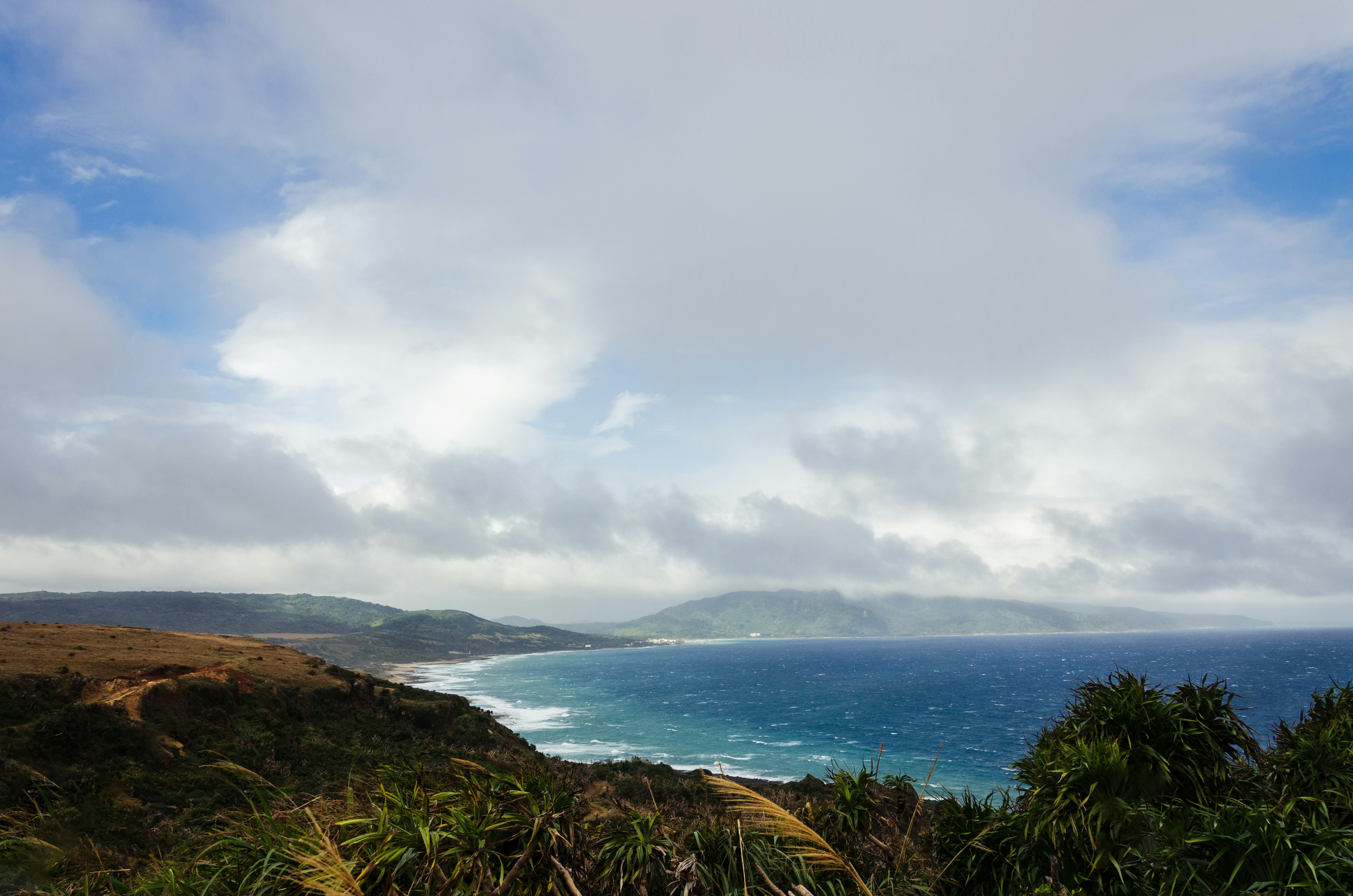 Density Pictures | Download Free Images on Unsplash
