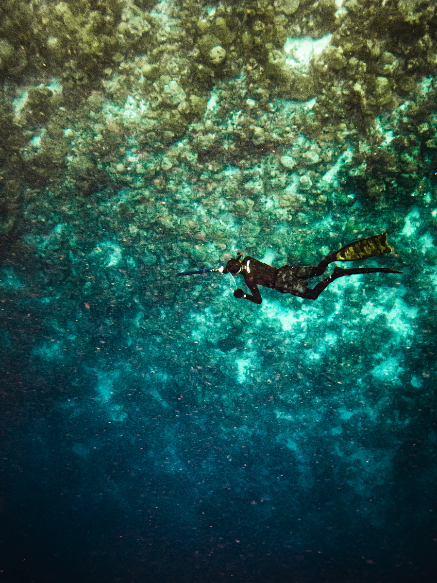 A lone scuba diver swims horizontally beneath a textured coral ceiling in bright turquoise water. The diver’s fins and tank stand out against the darker open water below.