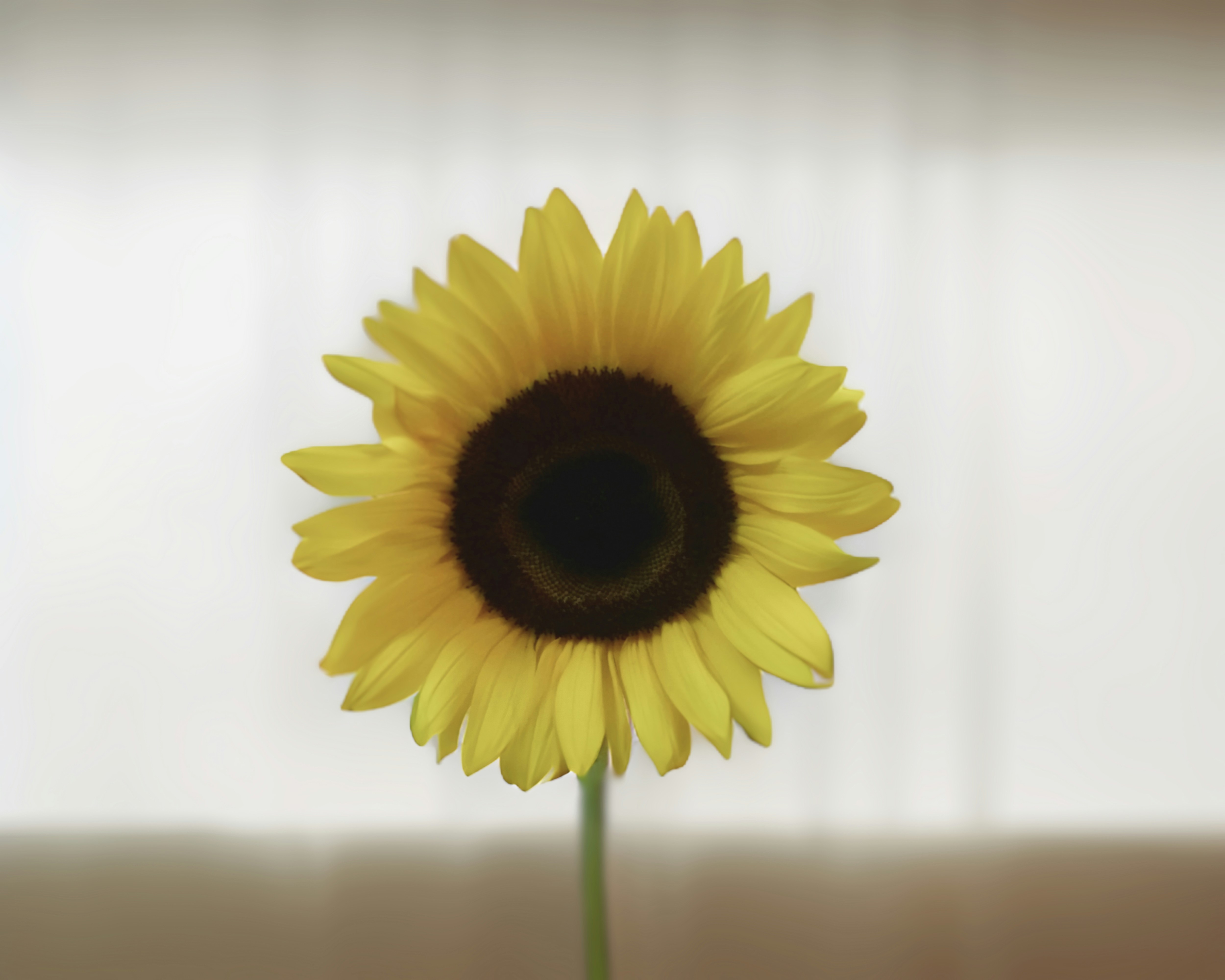 Sample photo from Samsung Galaxy S5