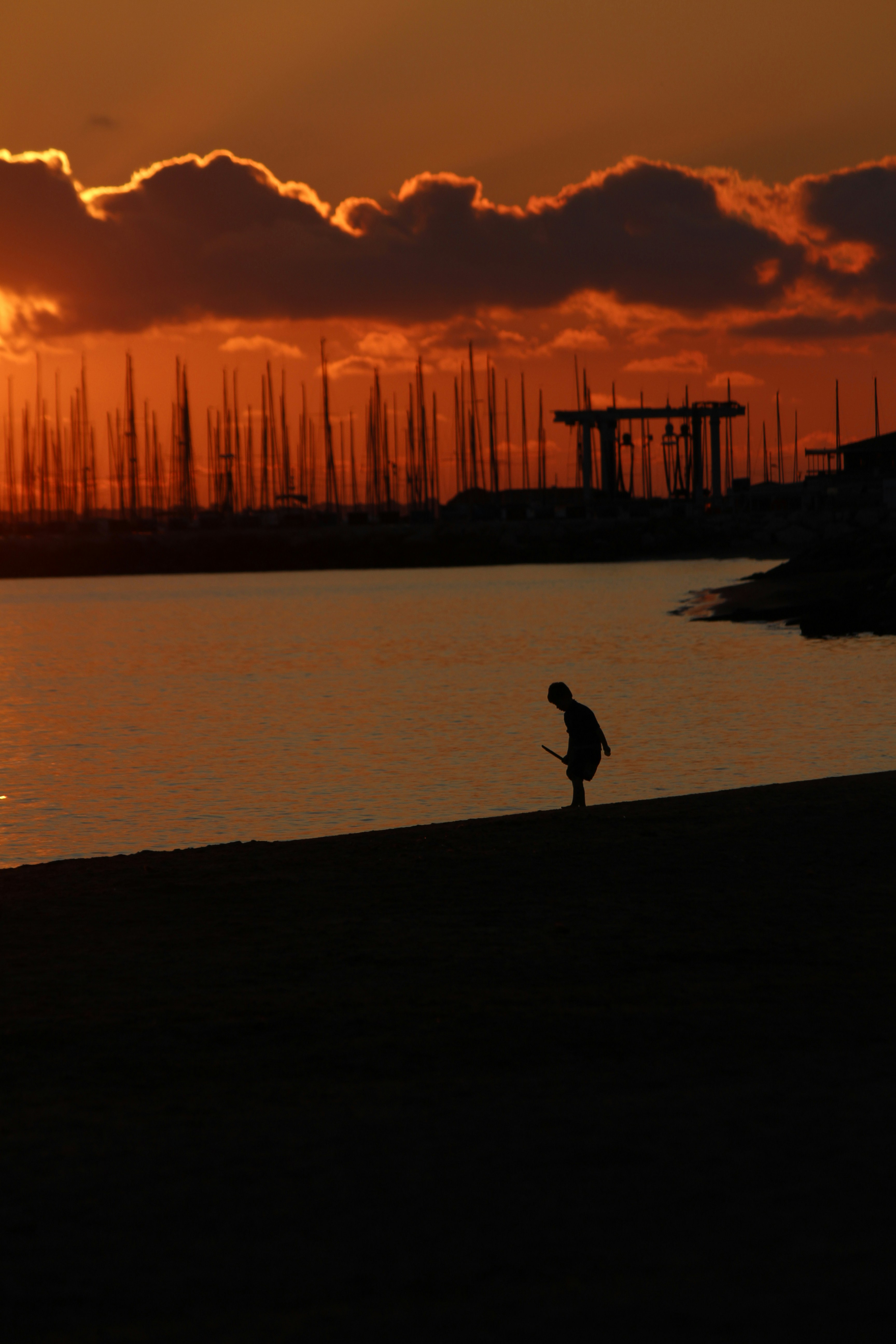 Silhouette Solitude at Sunset Shore