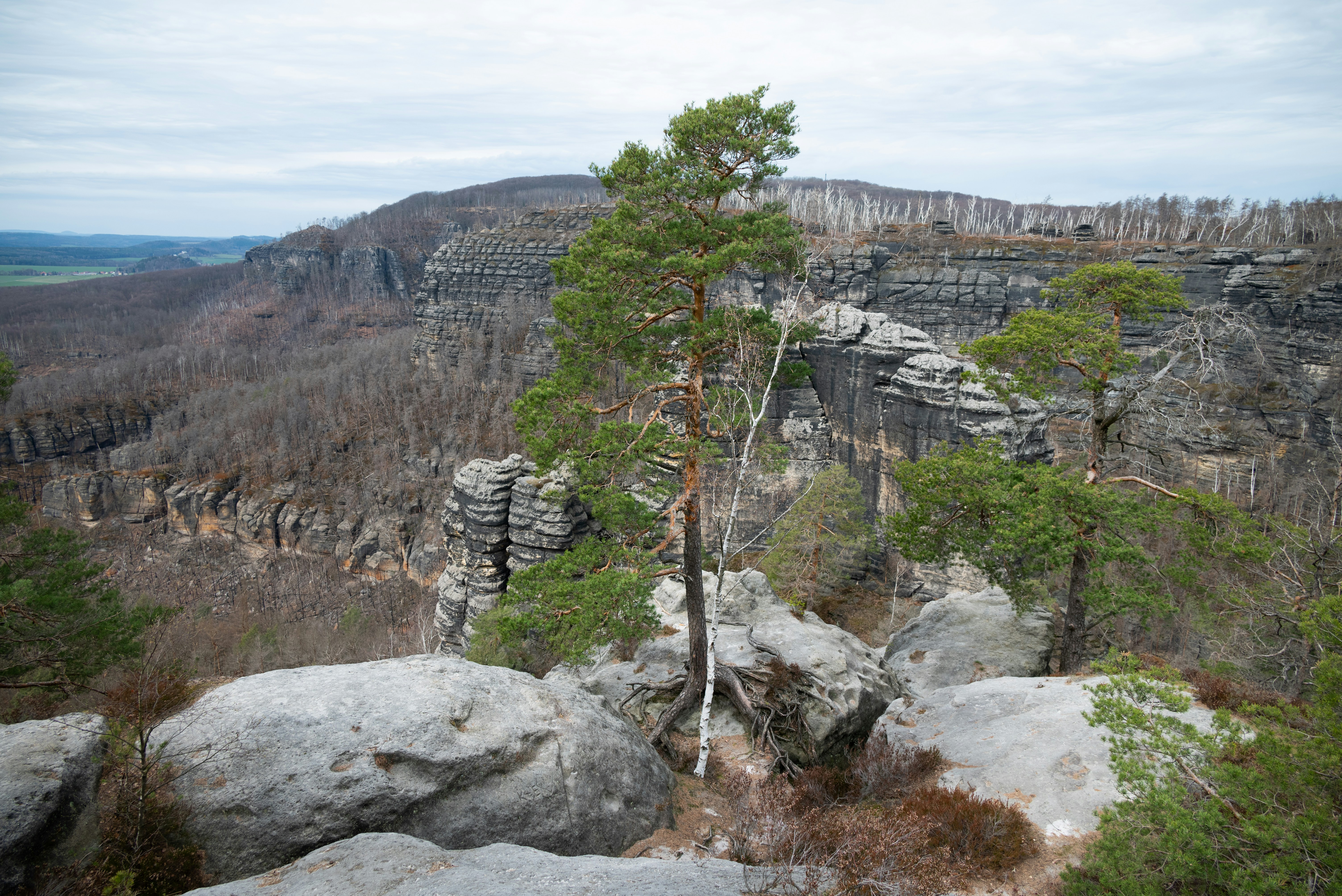 Majestic Sandstone Vista